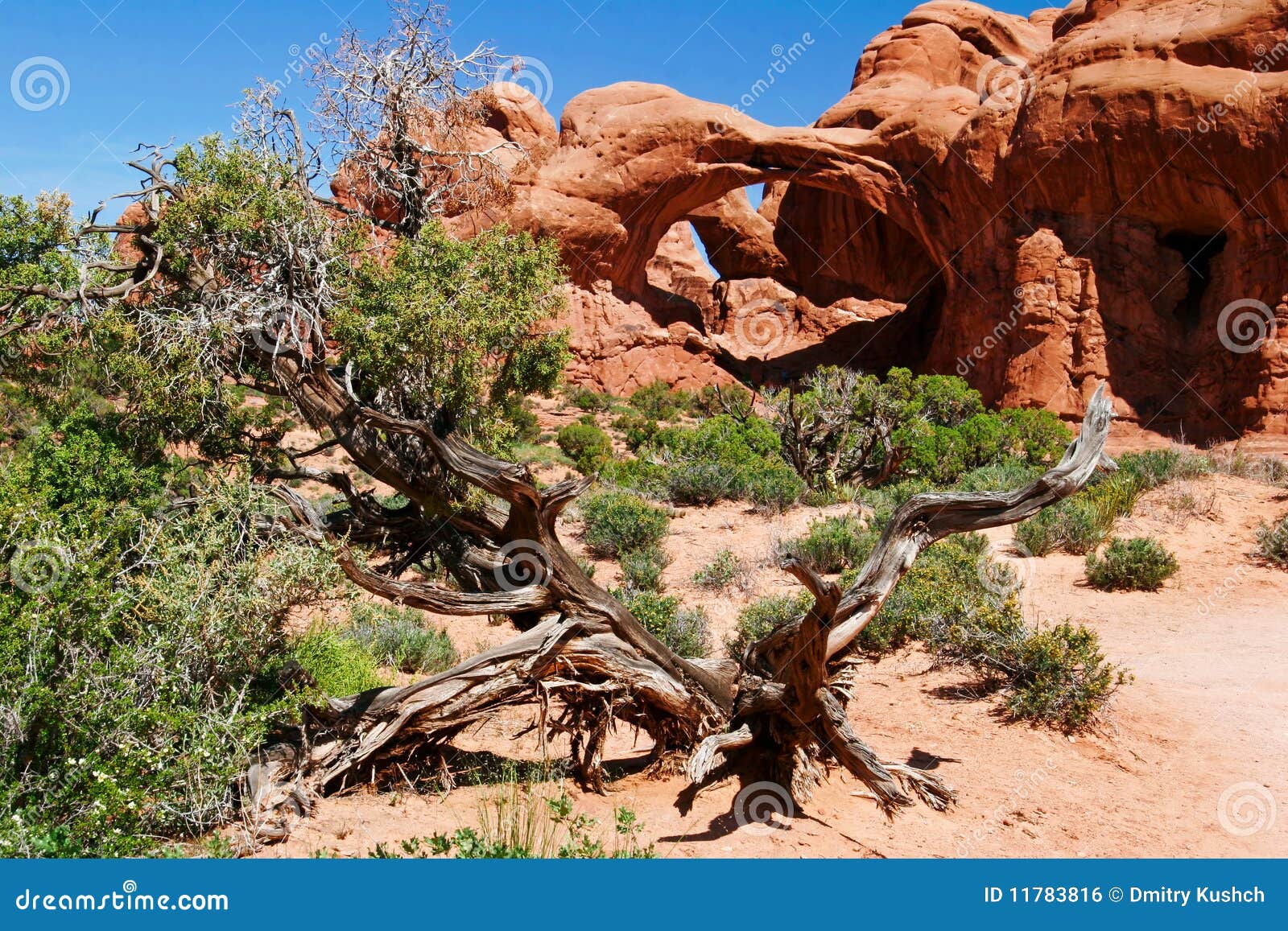 Red rocks of Utah stock photo. Image of background, clear - 11783816