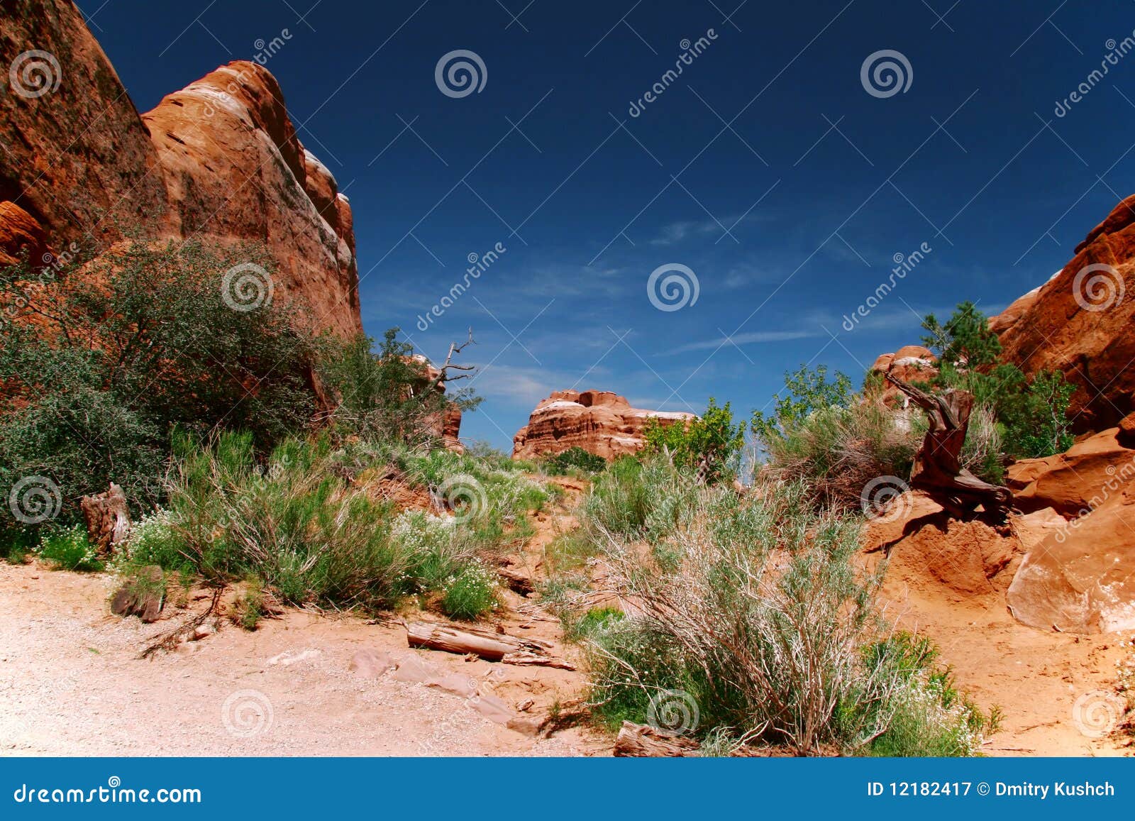 Red rocks of Utah stock image. Image of green, hill, beauty - 12182417
