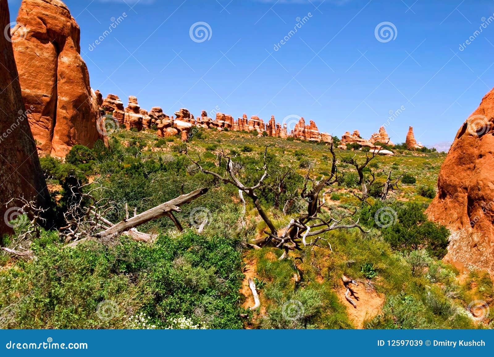 Red rocks of Utah stock image. Image of destination, destinations ...