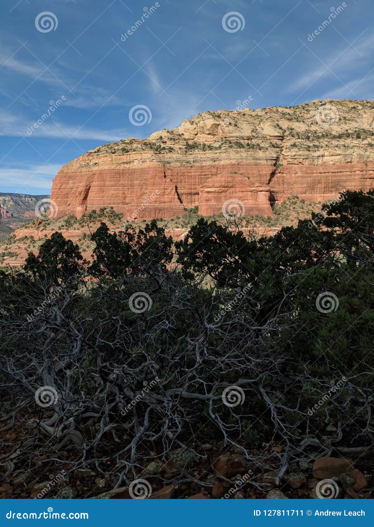 Red rocks stock image. Image of view, rocks, plants - 127811711