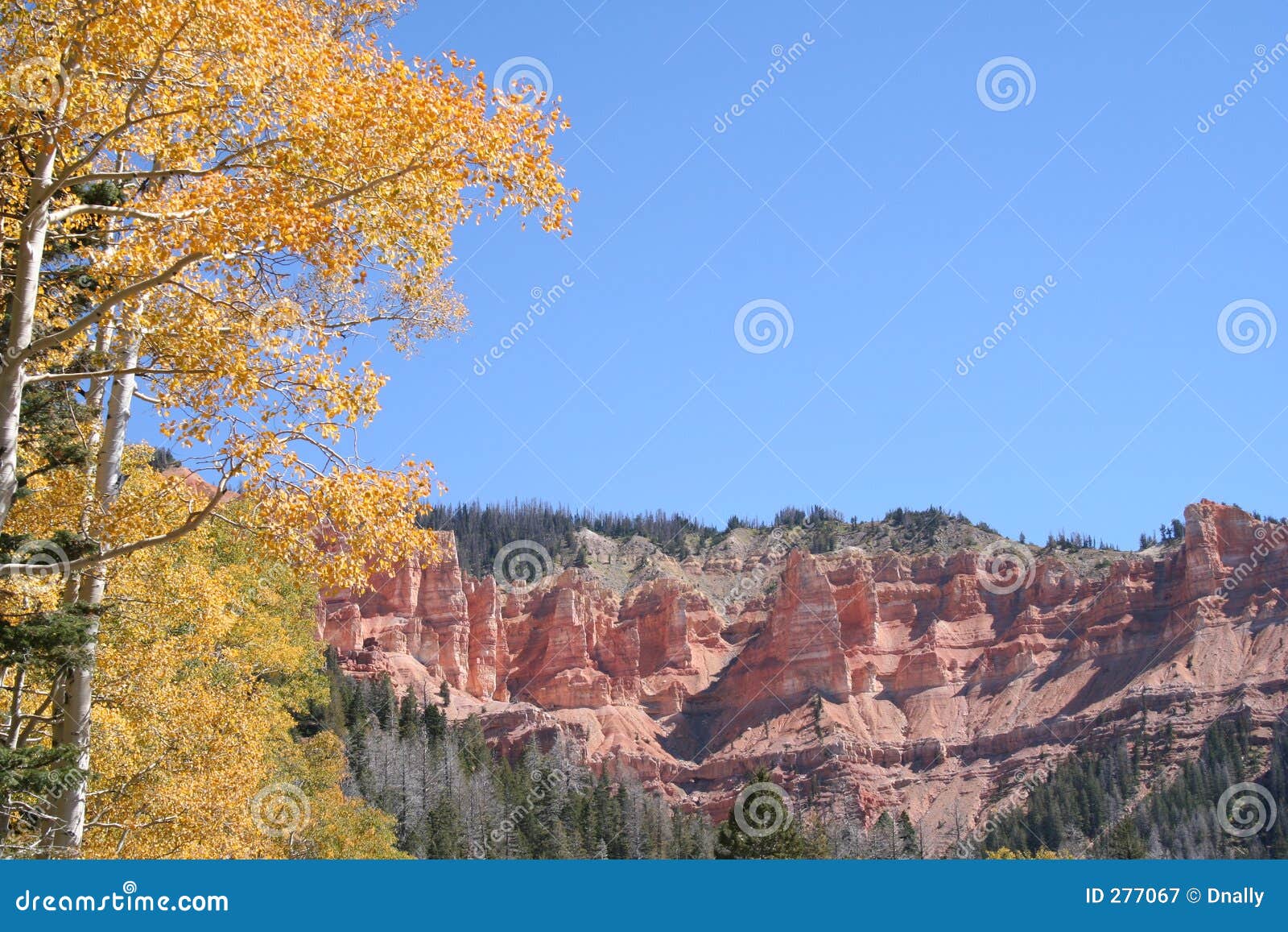 Red Rocks Yellow Leaves stock image. Image of colors, cedar - 277067