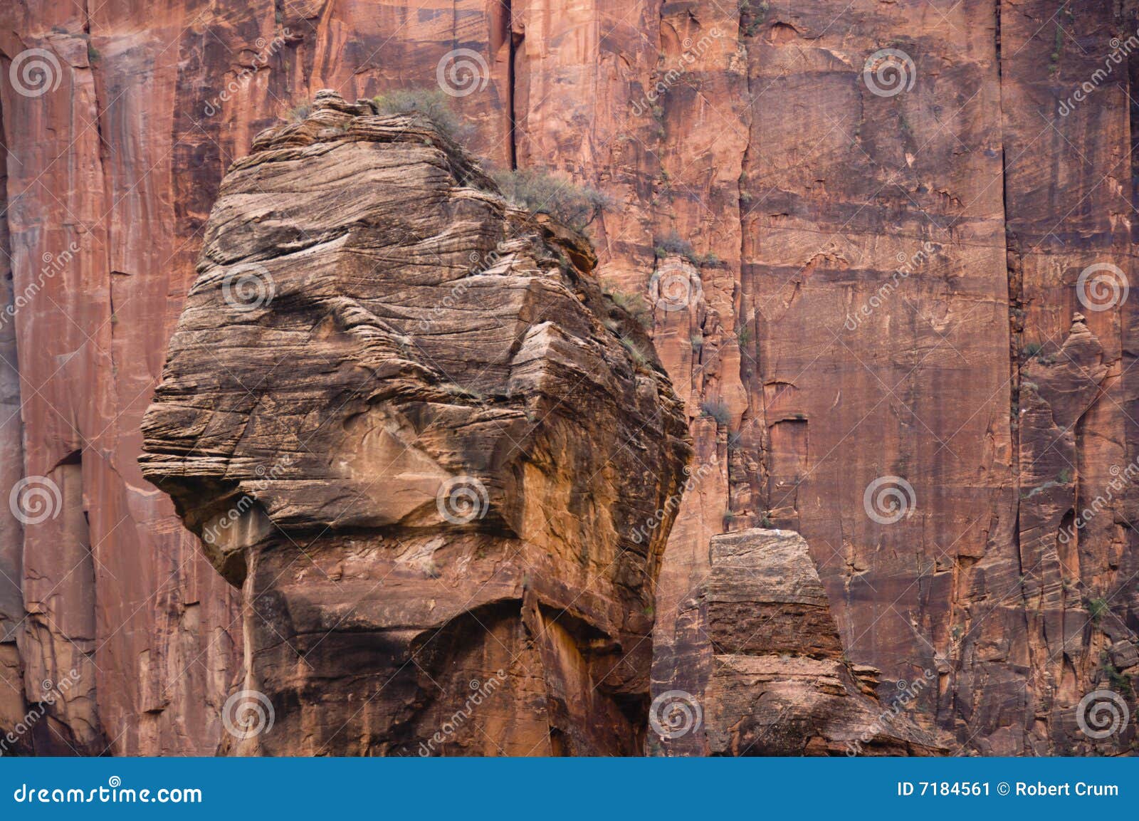 Red rocks of Zion stock image. Image of zion, national - 7184561