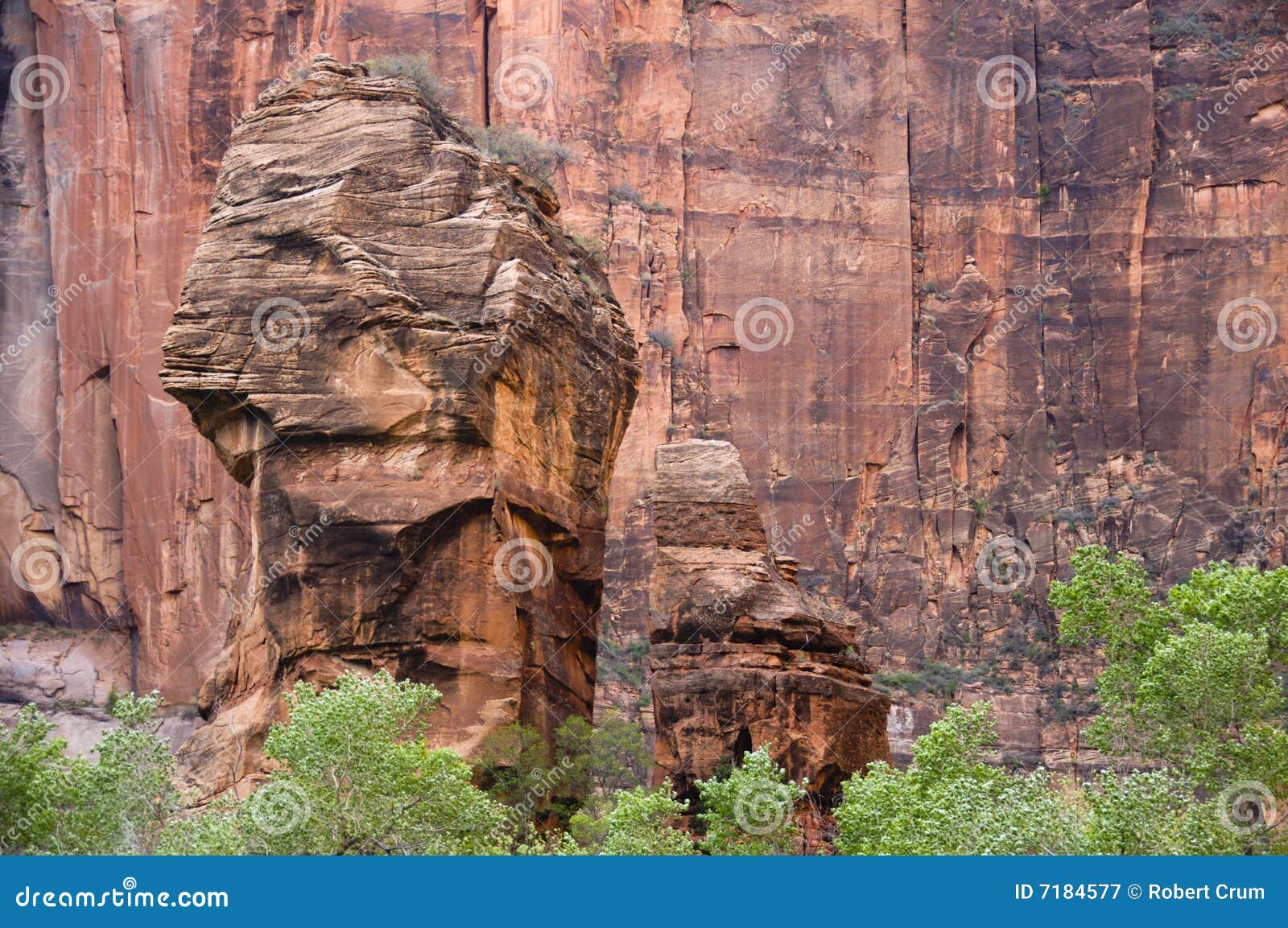 Red rocks of Zion stock image. Image of north, rock, america - 7184577
