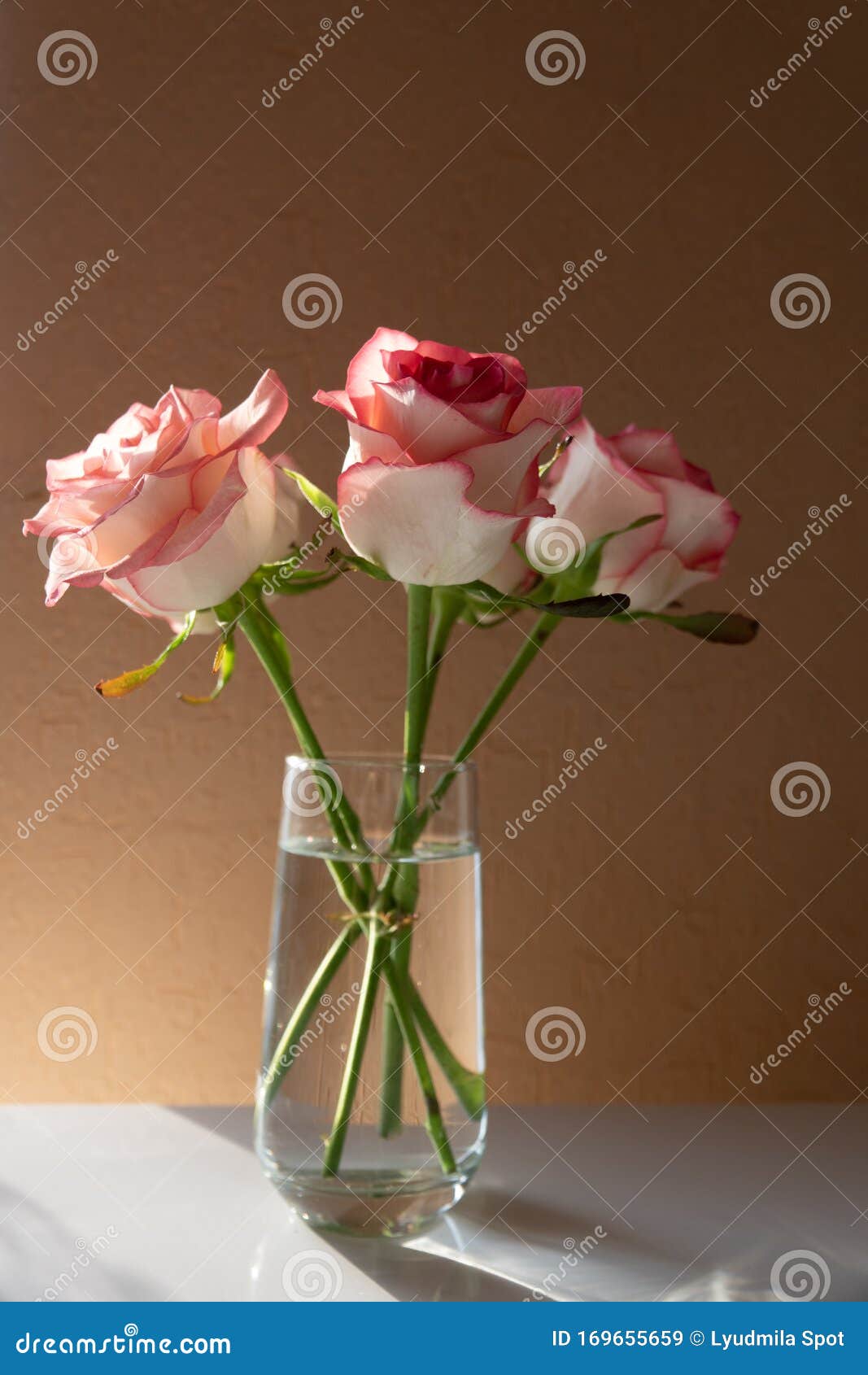 Red Romantic Rose in Vase from Glass Stock Image - Image of flower ...