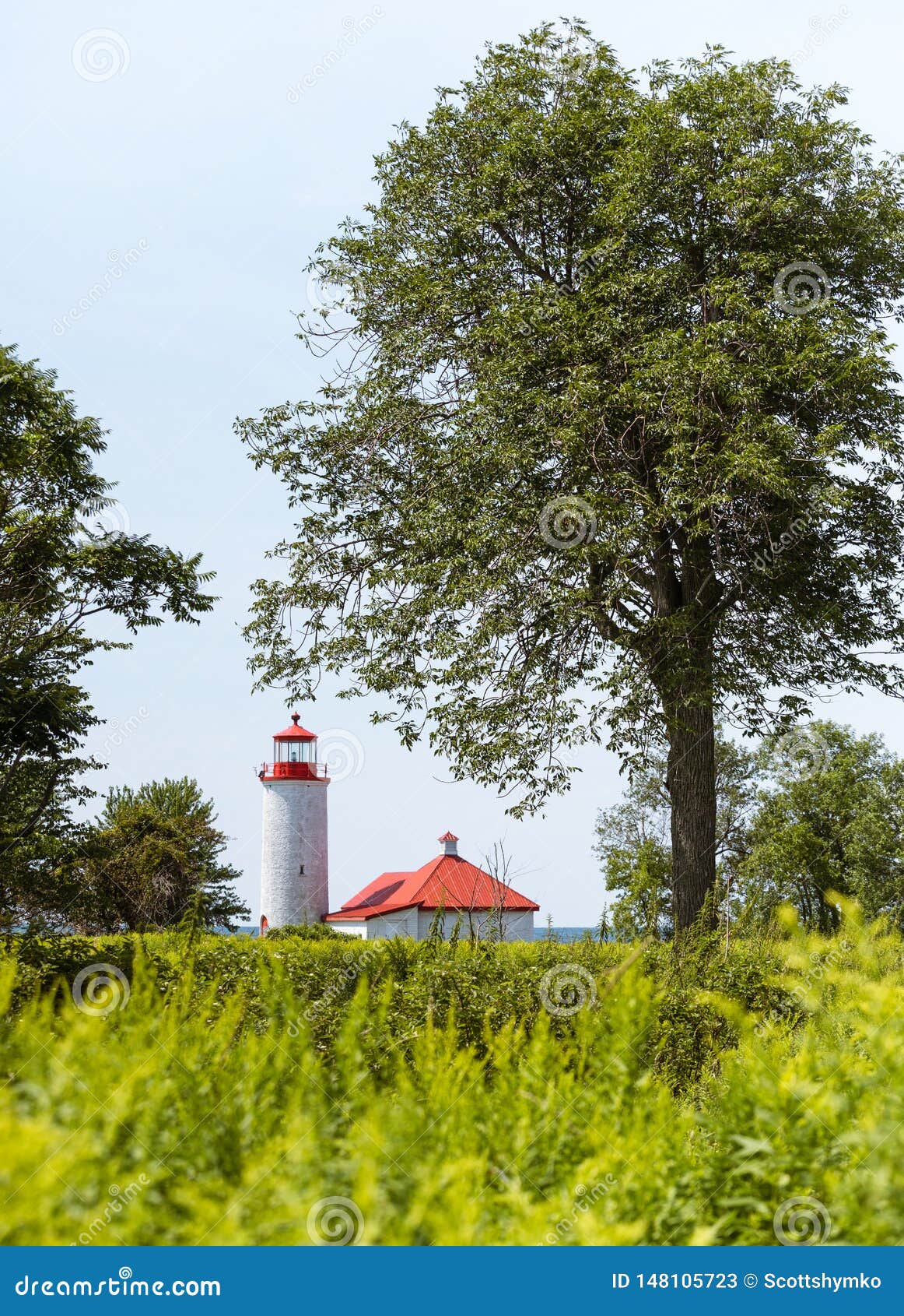 A Red Roofed Lighthouse Framed by Trees Stock Image - Image of tree ...