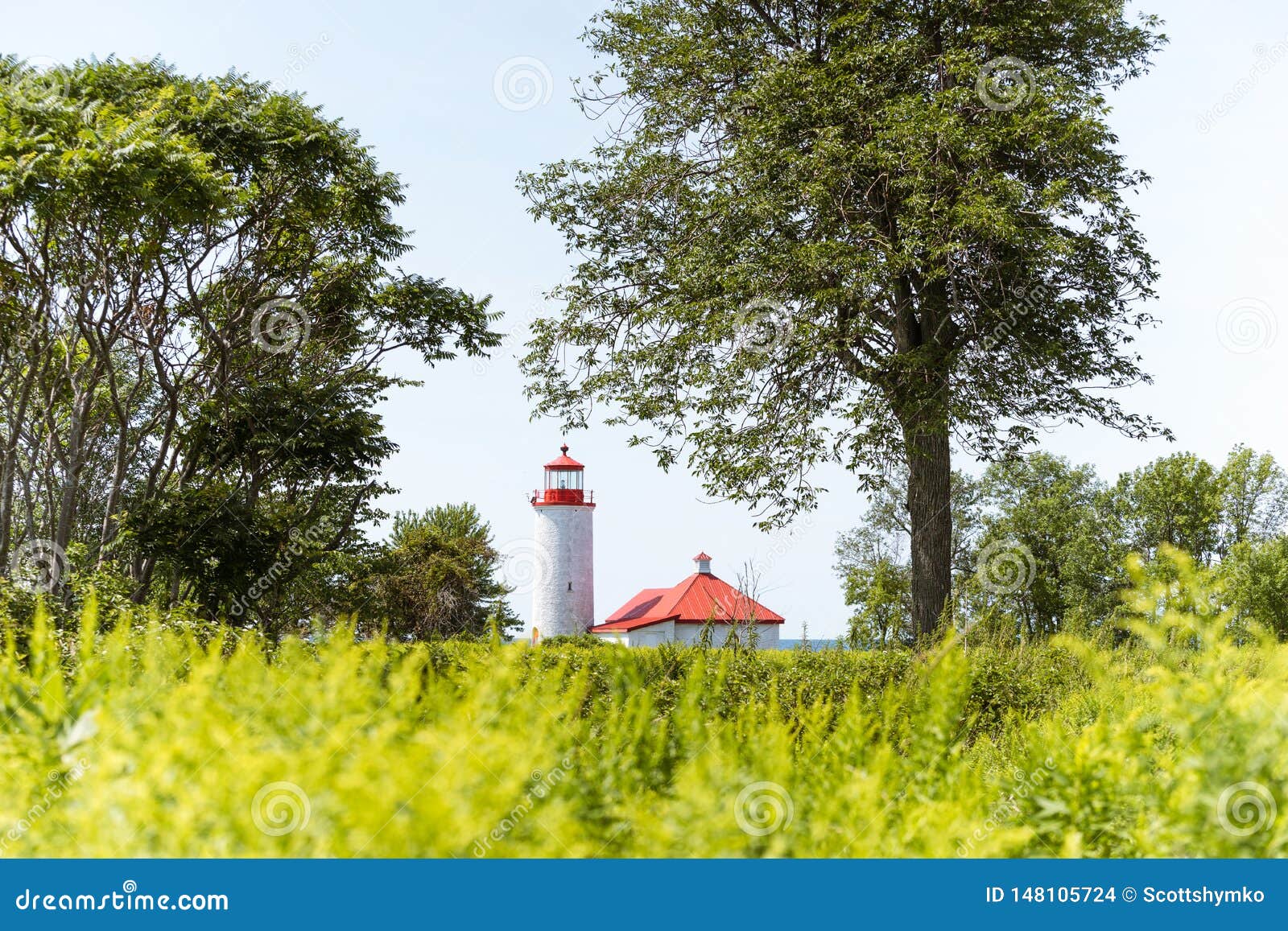 A Red Roofed Lighthouse Framed by Trees Stock Photo - Image of light ...