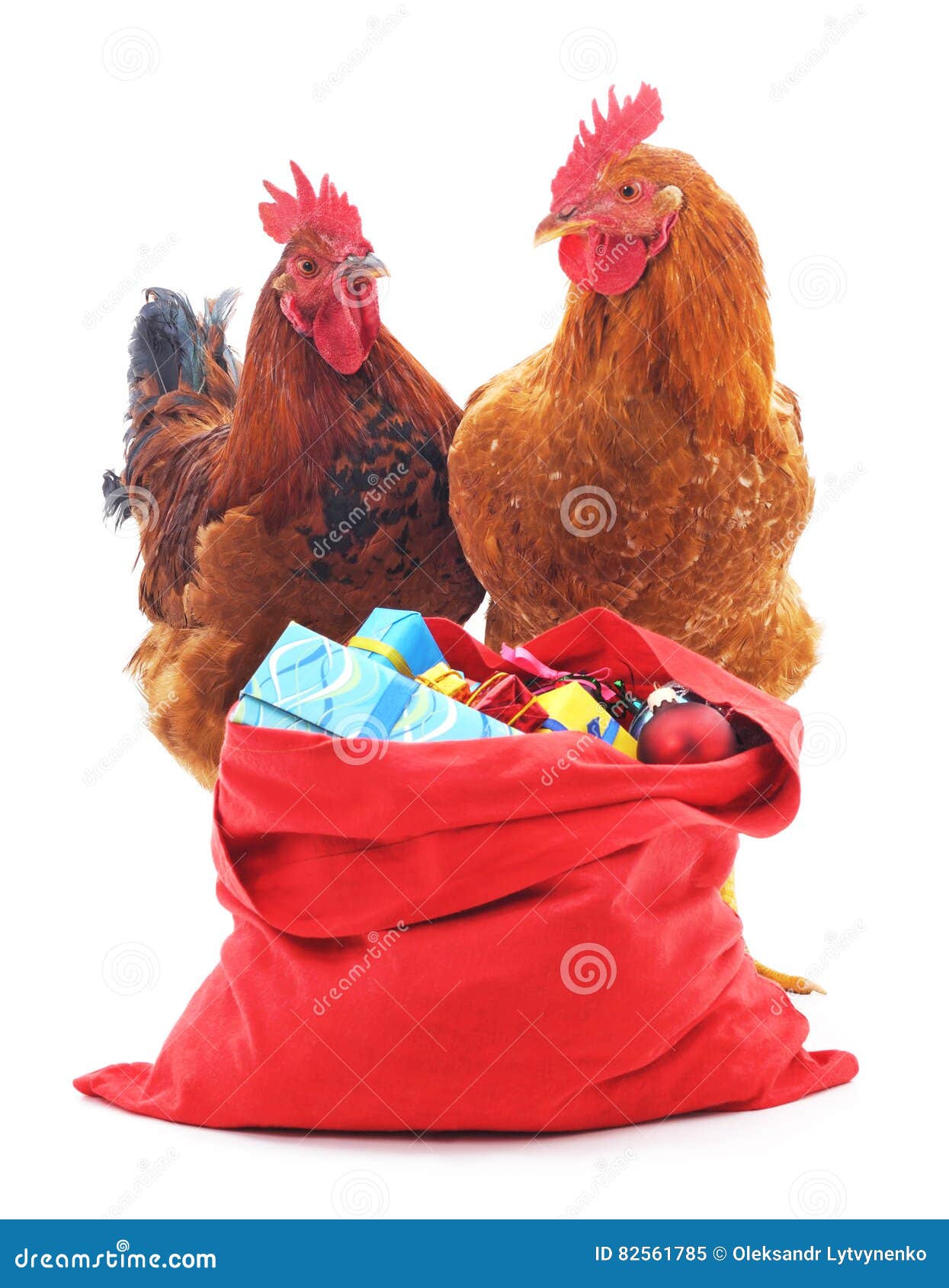 Red Roosters and Bag of Gifts. Stock Image - Image of animal, roosters ...