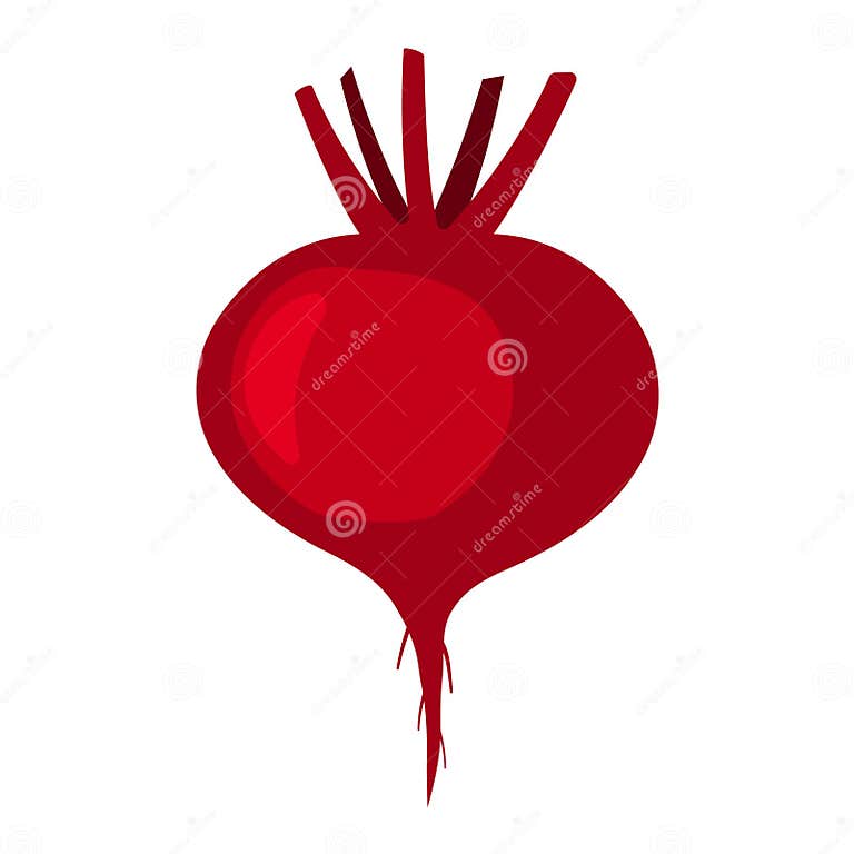 Red Root Crop. Beetroot Fresh Natural Illustration Stock Vector ...