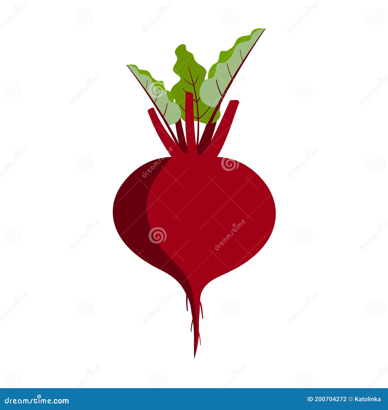 Red Root Vegetable with Green Leaves. Beetroot Illustration Stock ...
