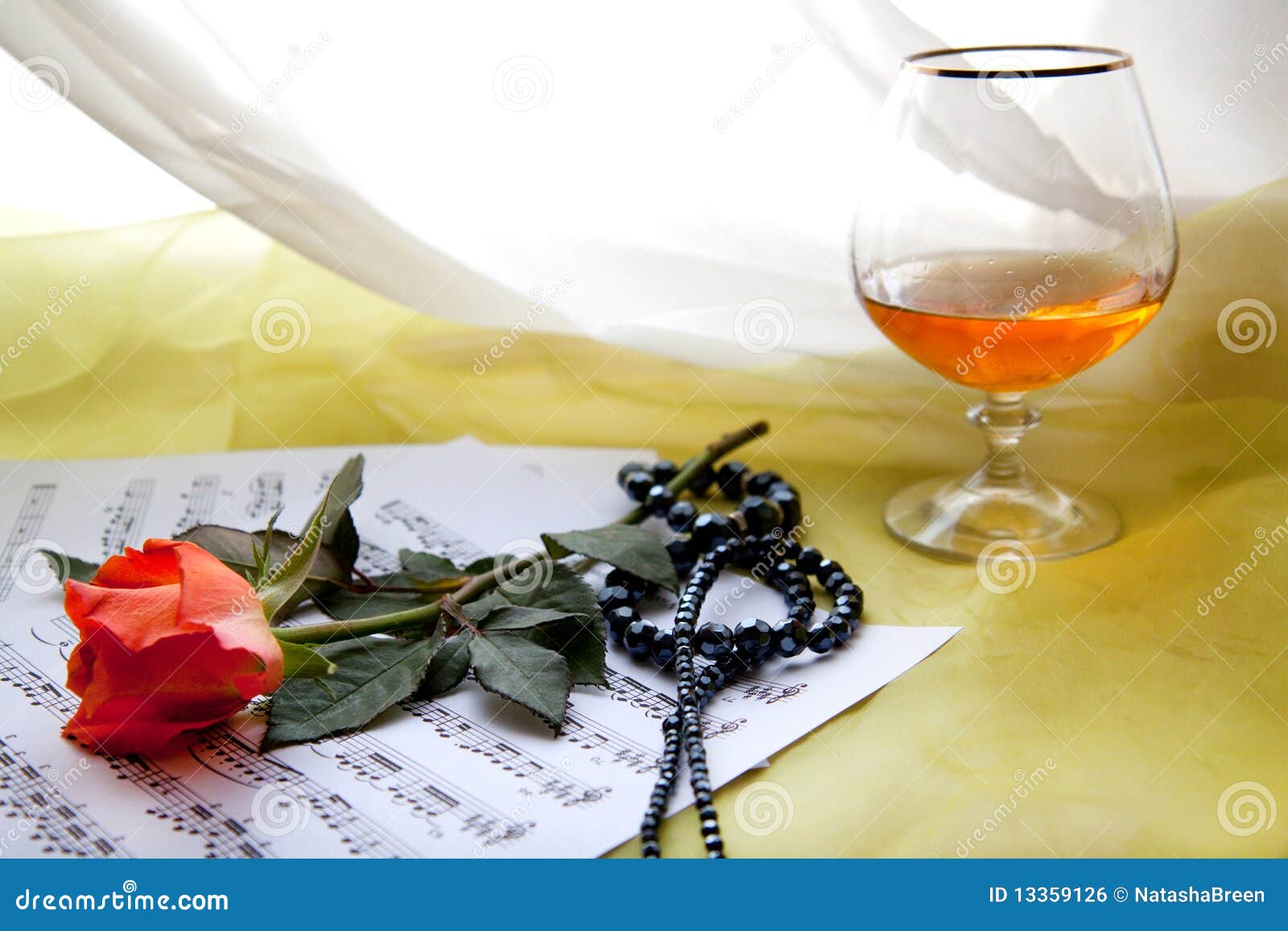 Red rose stock photo. Image of beauty, gift, alcohol - 13359126