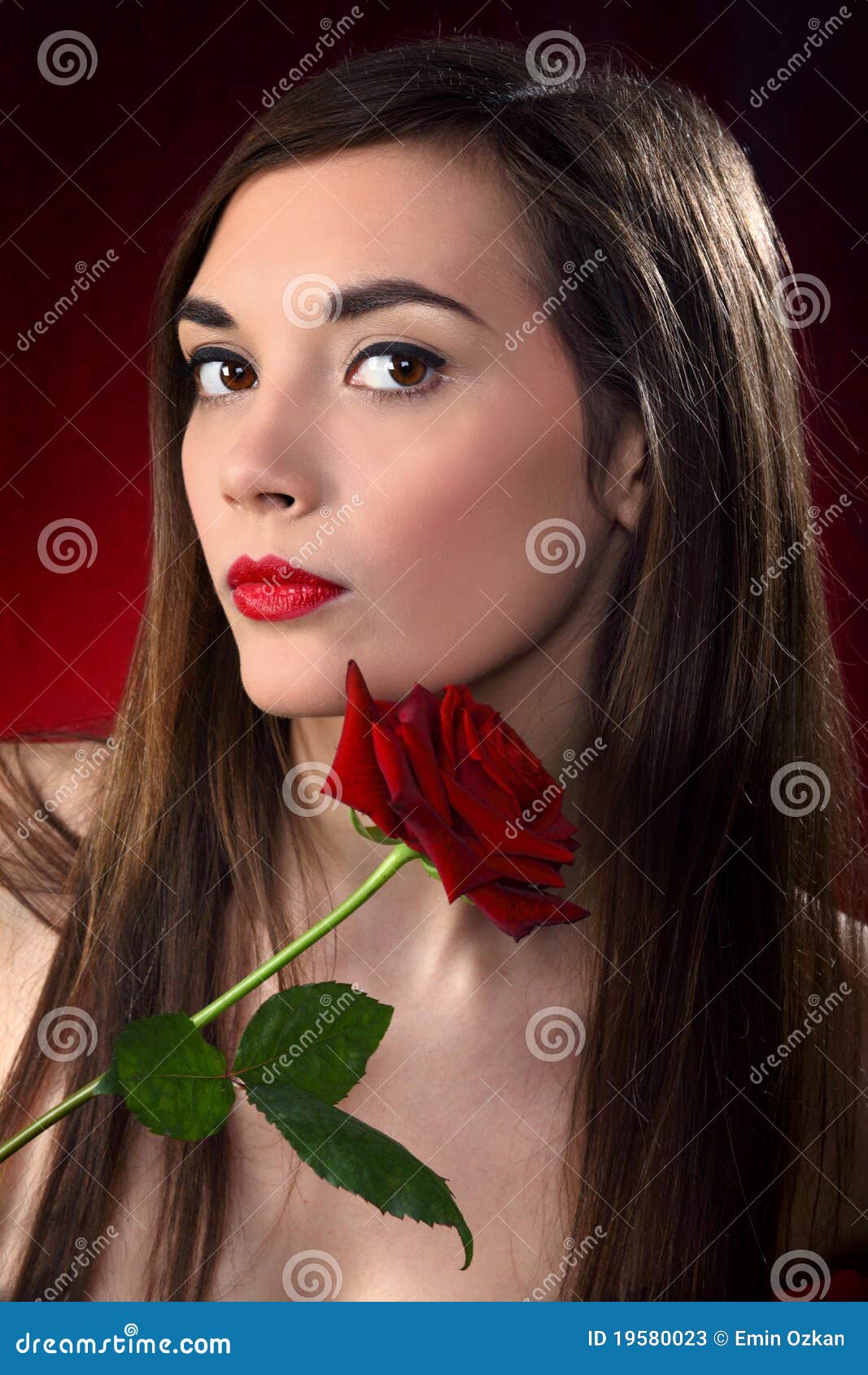 Red rose stock image. Image of romantic, headshot, woman - 19580023
