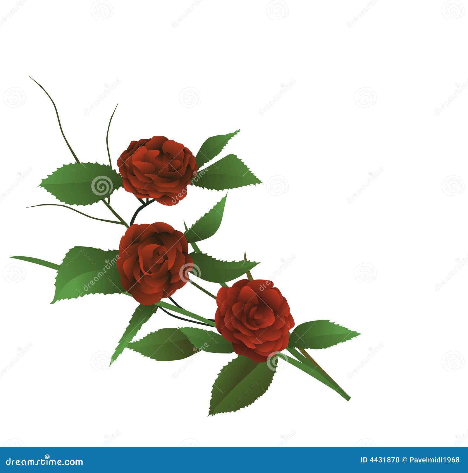 Red rose stock vector. Illustration of plant, grass, design - 4431870