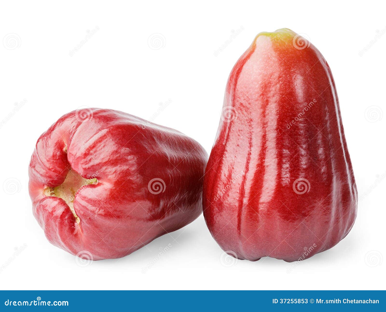 Red rose apple stock image. Image of rose, freshness - 37255853