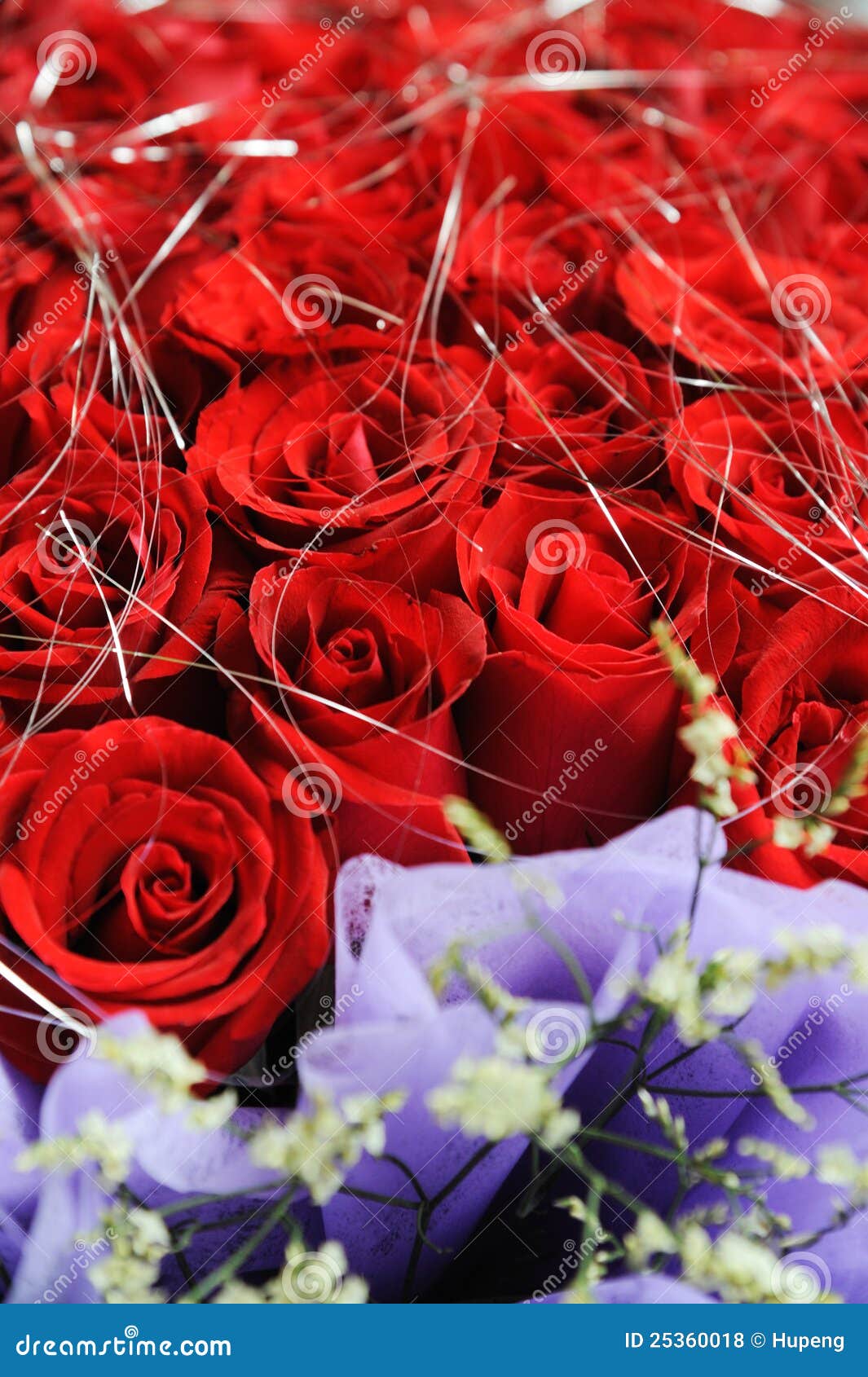 Red rose background stock photo. Image of bouquet, garden - 25360018