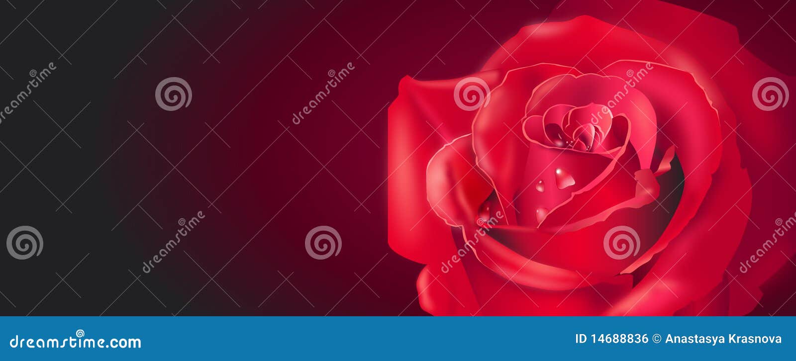 Red Rose Banner stock vector. Illustration of drama, gift - 14688836