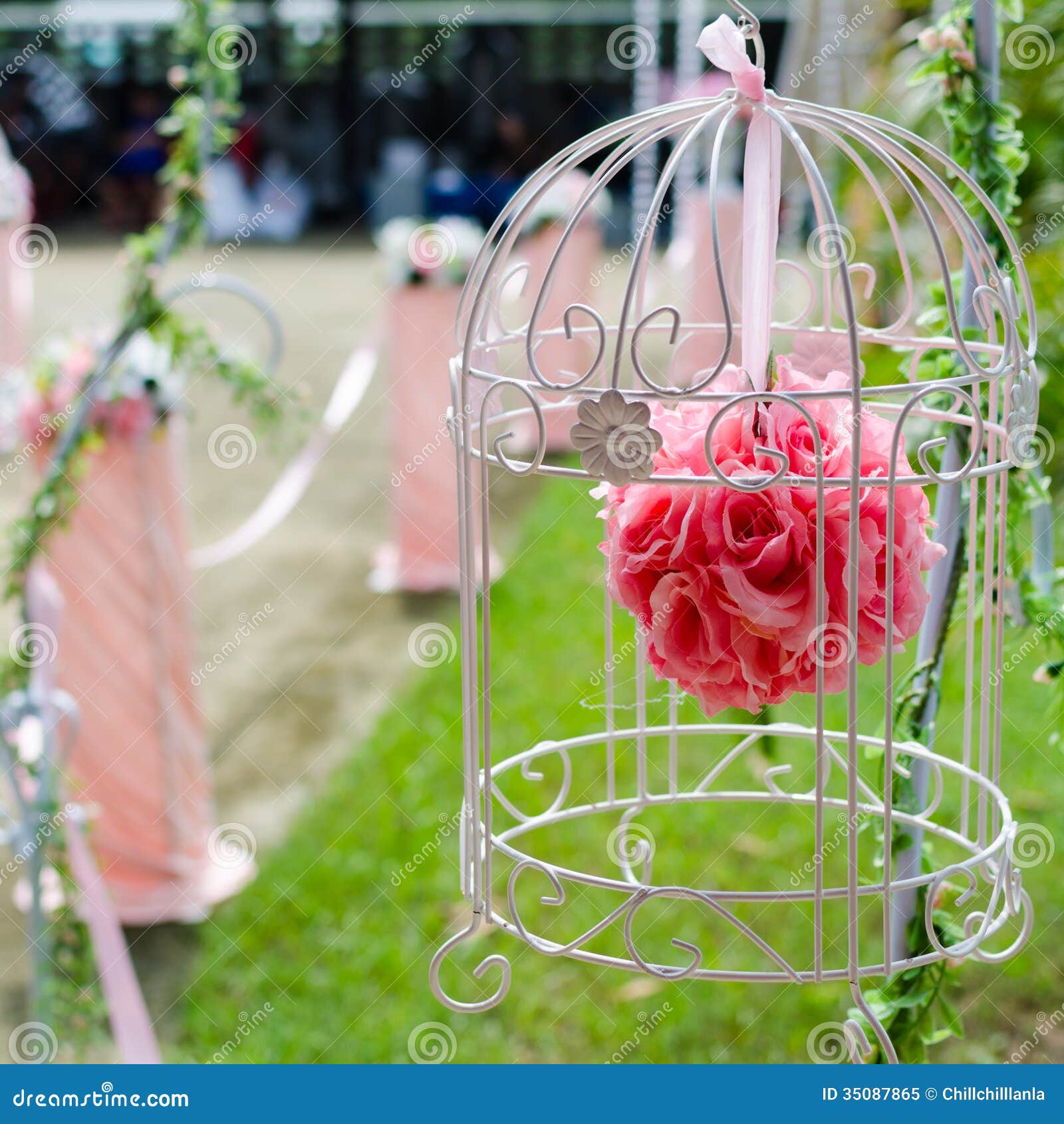 Red rose in the bird cage stock image. Image of bird - 35087865