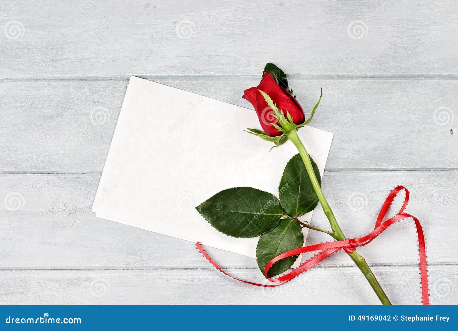 Red Rose with Blank Card stock photo. Image of copy, flowers - 49169042