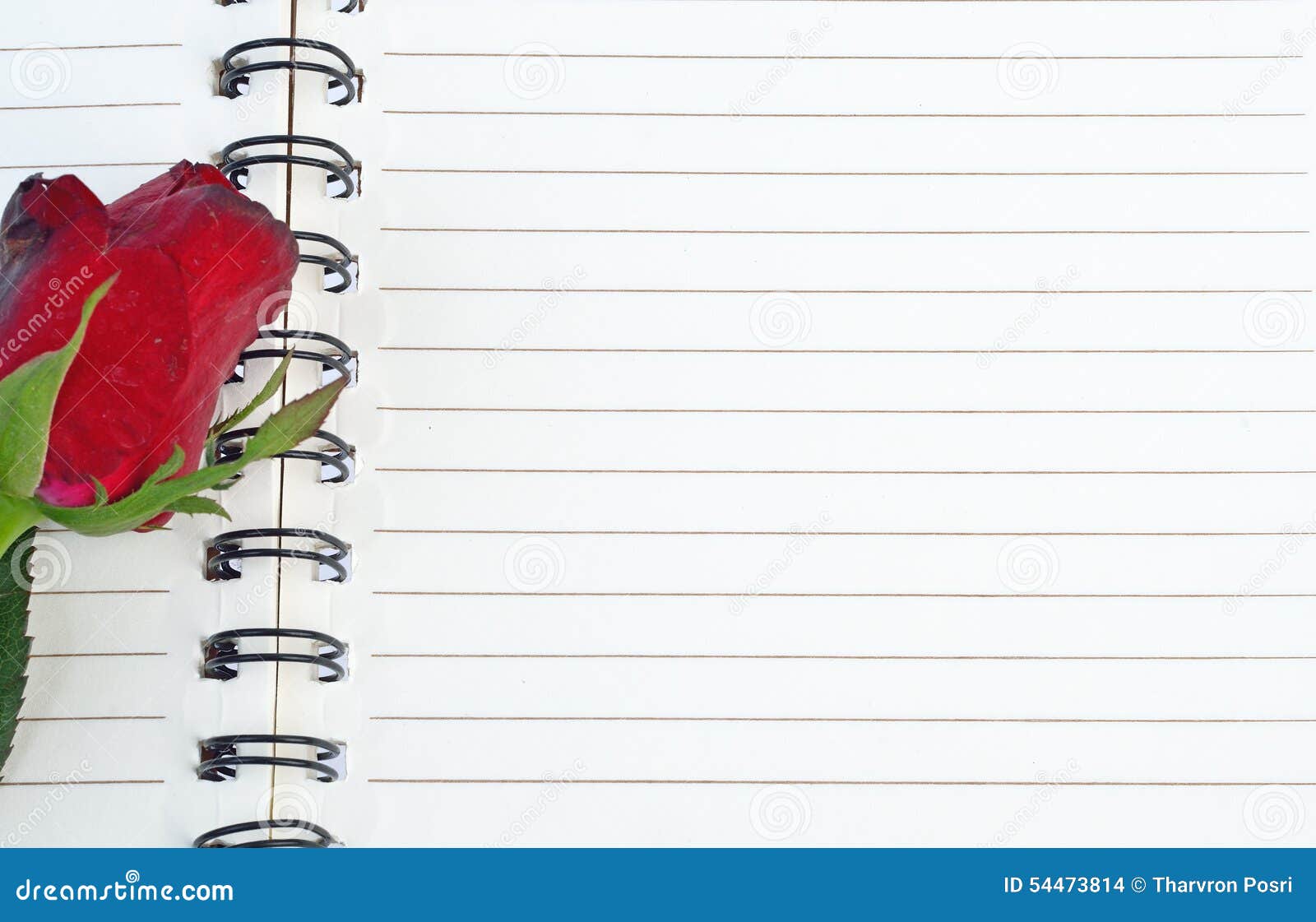 Red rose on blank notebook stock photo. Image of brown - 54473814