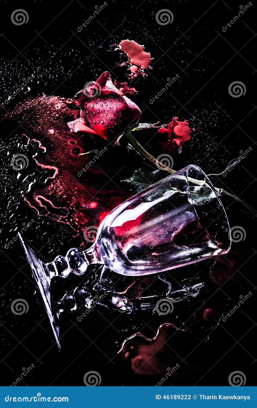 Red rose on blood stock photo. Image of black, close - 46189222