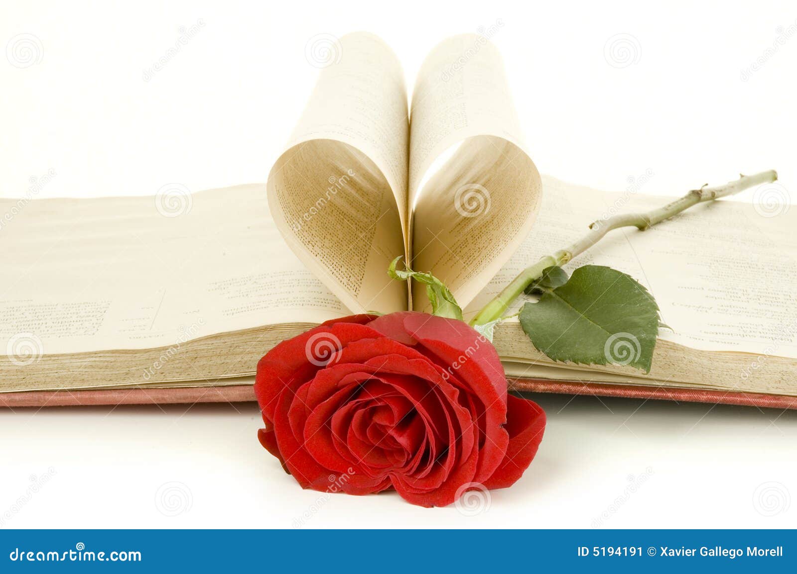 Red rose on a book stock image. Image of beautiful, antique - 5194191