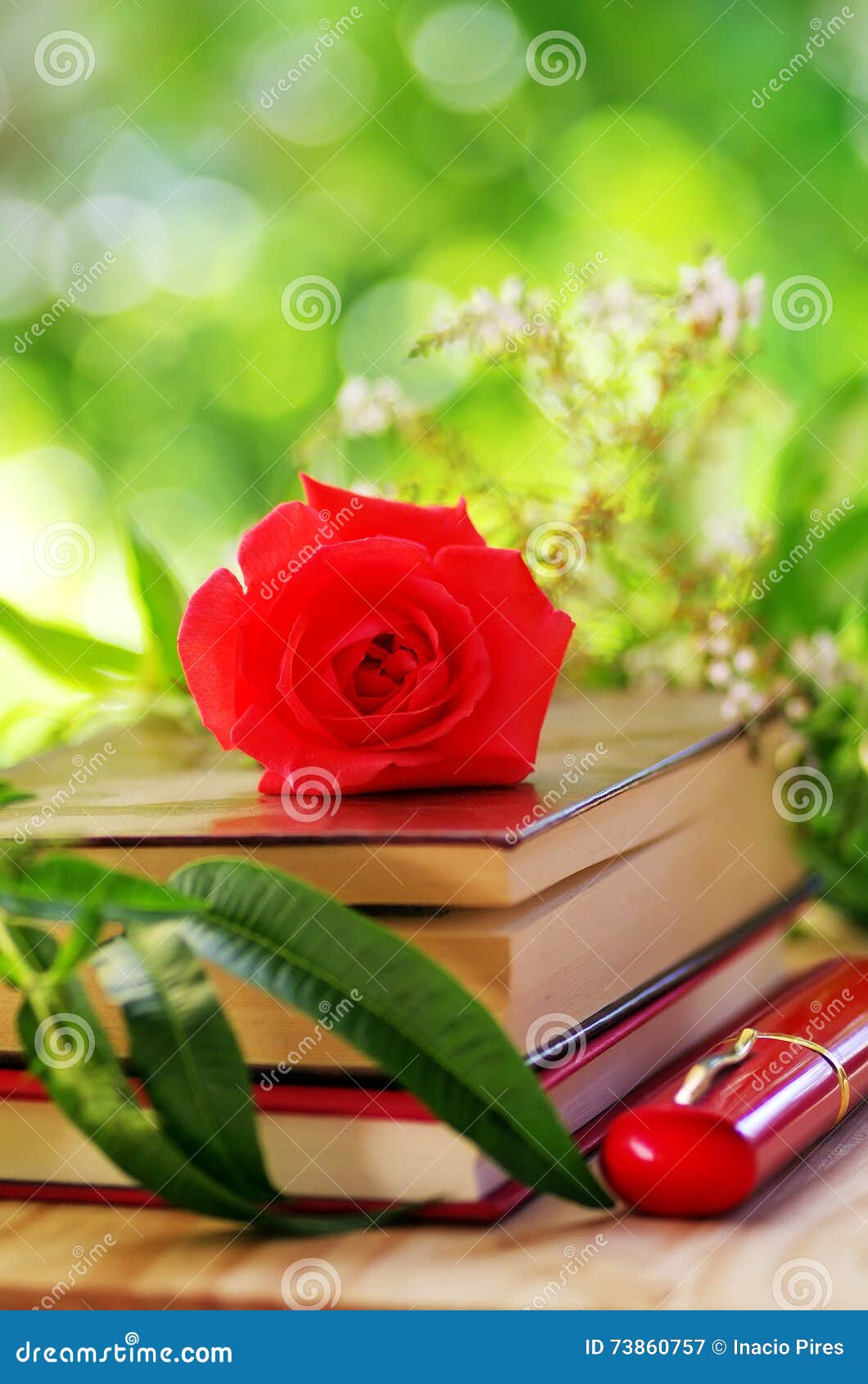 Red rose on book stock image. Image of pencil, bouquet - 73860757