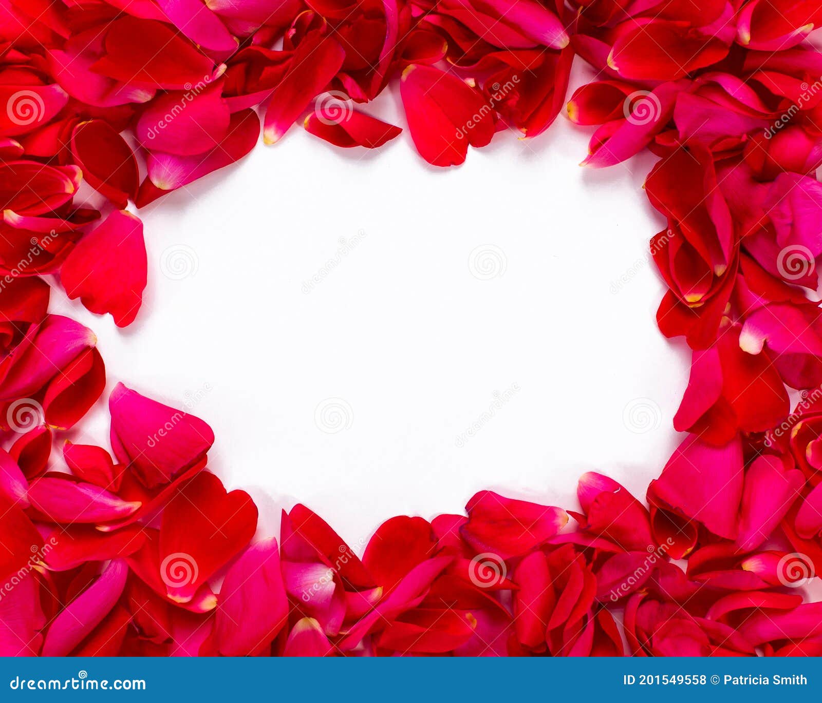 Red rose border stock photo. Image of petals, space - 201549558