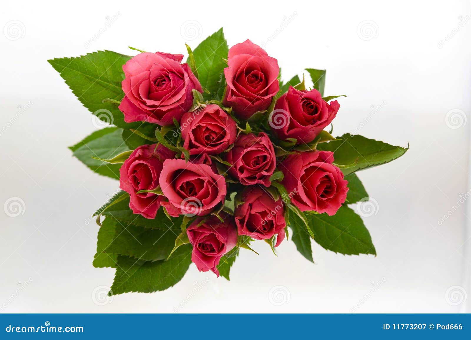 Red Rose Bouquet Stock Image | CartoonDealer.com #11773207