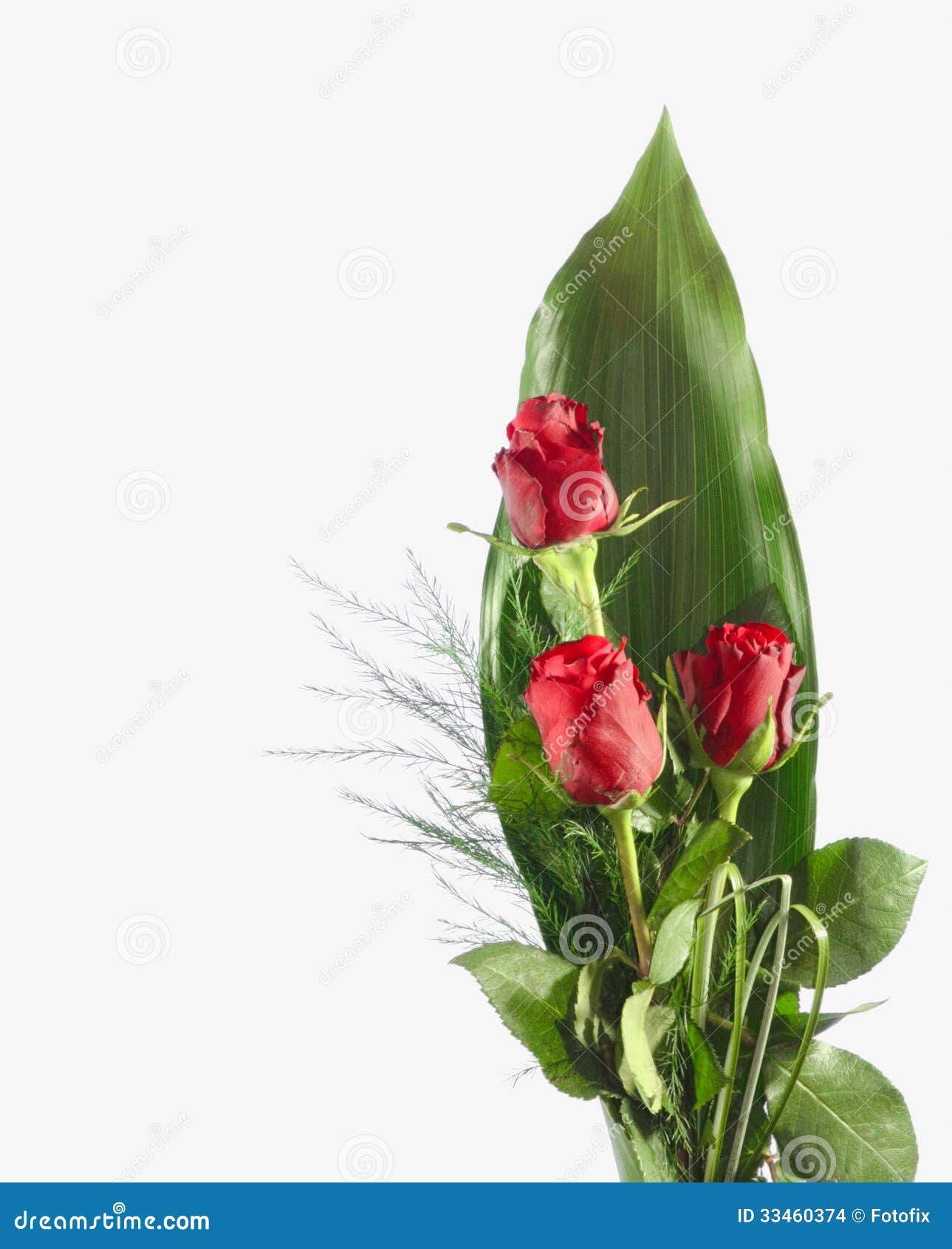 Red rose bouquet stock photo. Image of redrosebouquet - 33460374