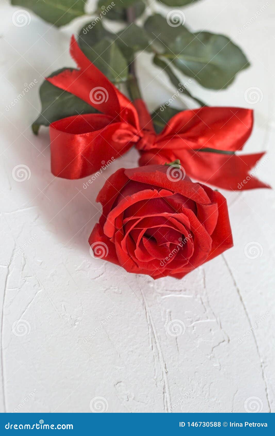 Red Rose with Red Bow on White Textured Background Stock Photo - Image ...