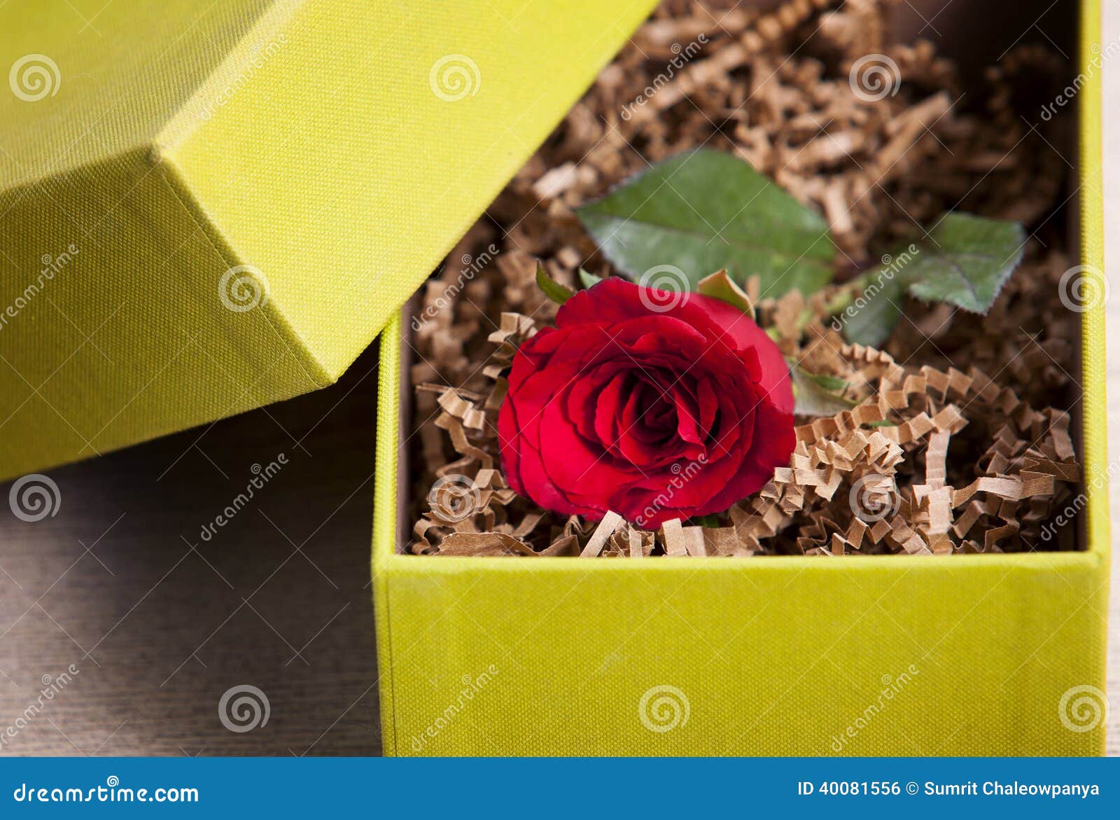 Red rose in box stock photo. Image of freshness, company - 40081556