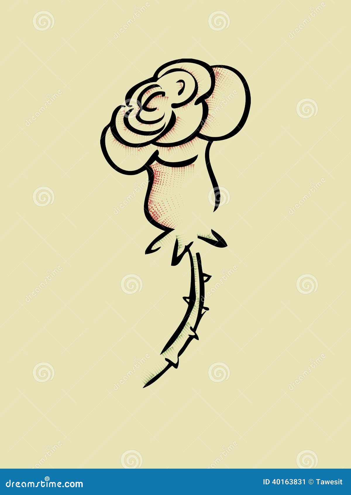 Red rose stock vector. Illustration of line, design, isolated - 40163831