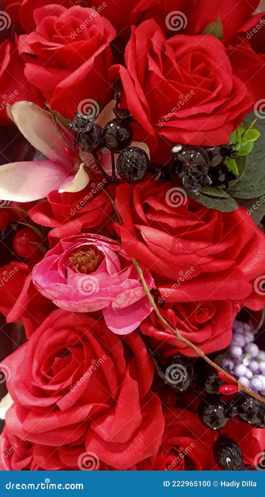 Red Rose in the Bucket Looks Beautifull Stock Photo - Image of bucket ...