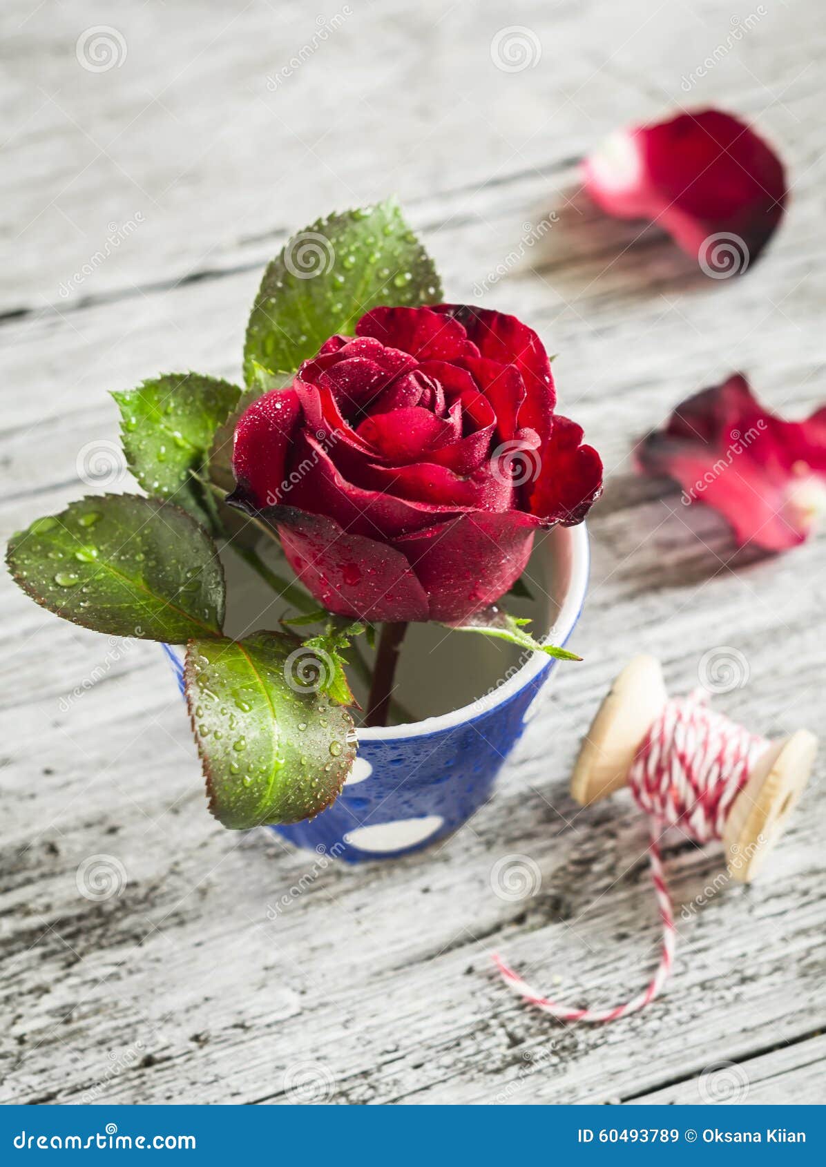 Red rose in ceramic glass stock image. Image of petal - 60493789