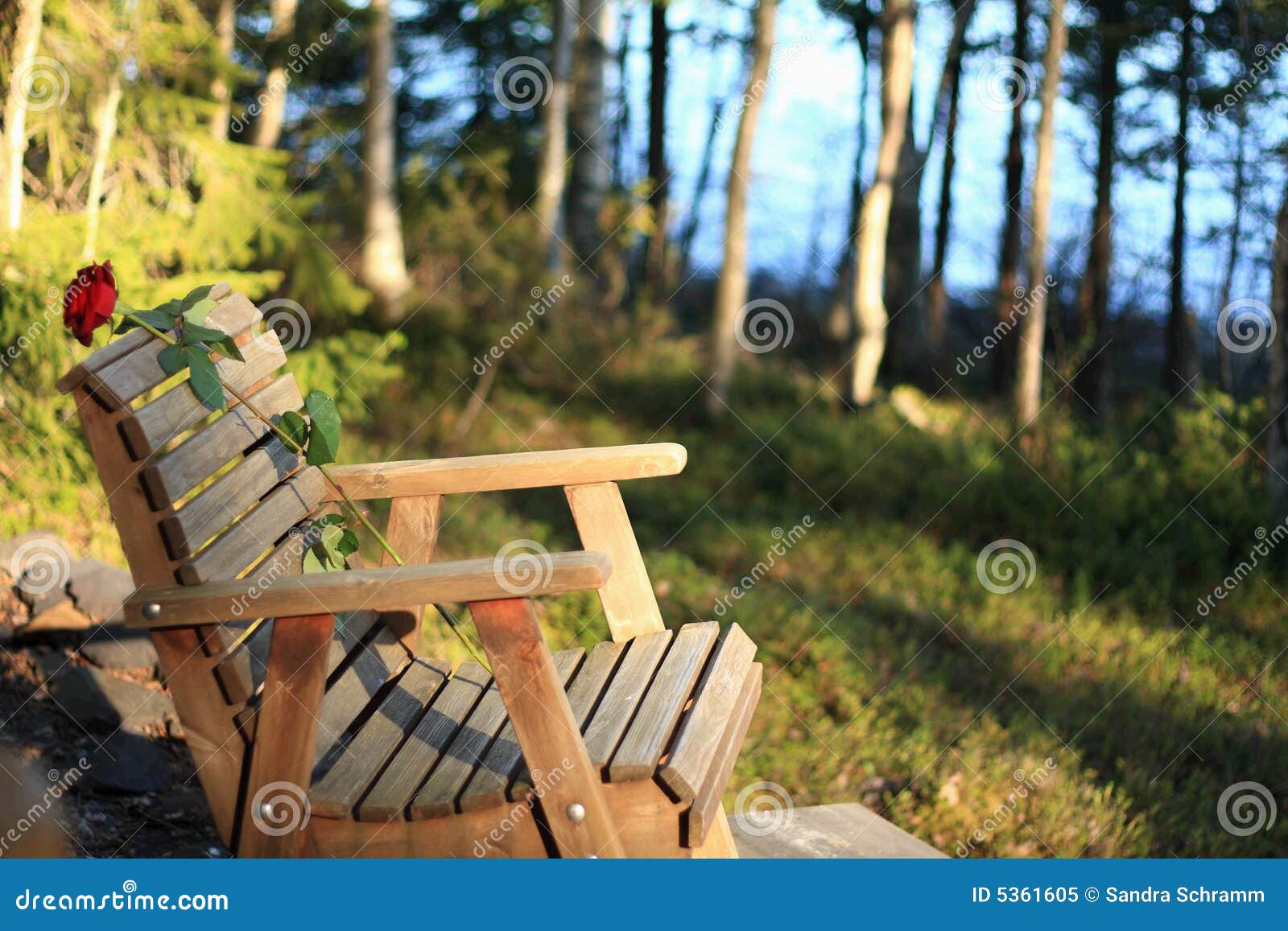Red rose on chair stock image. Image of backyard, patio - 5361605