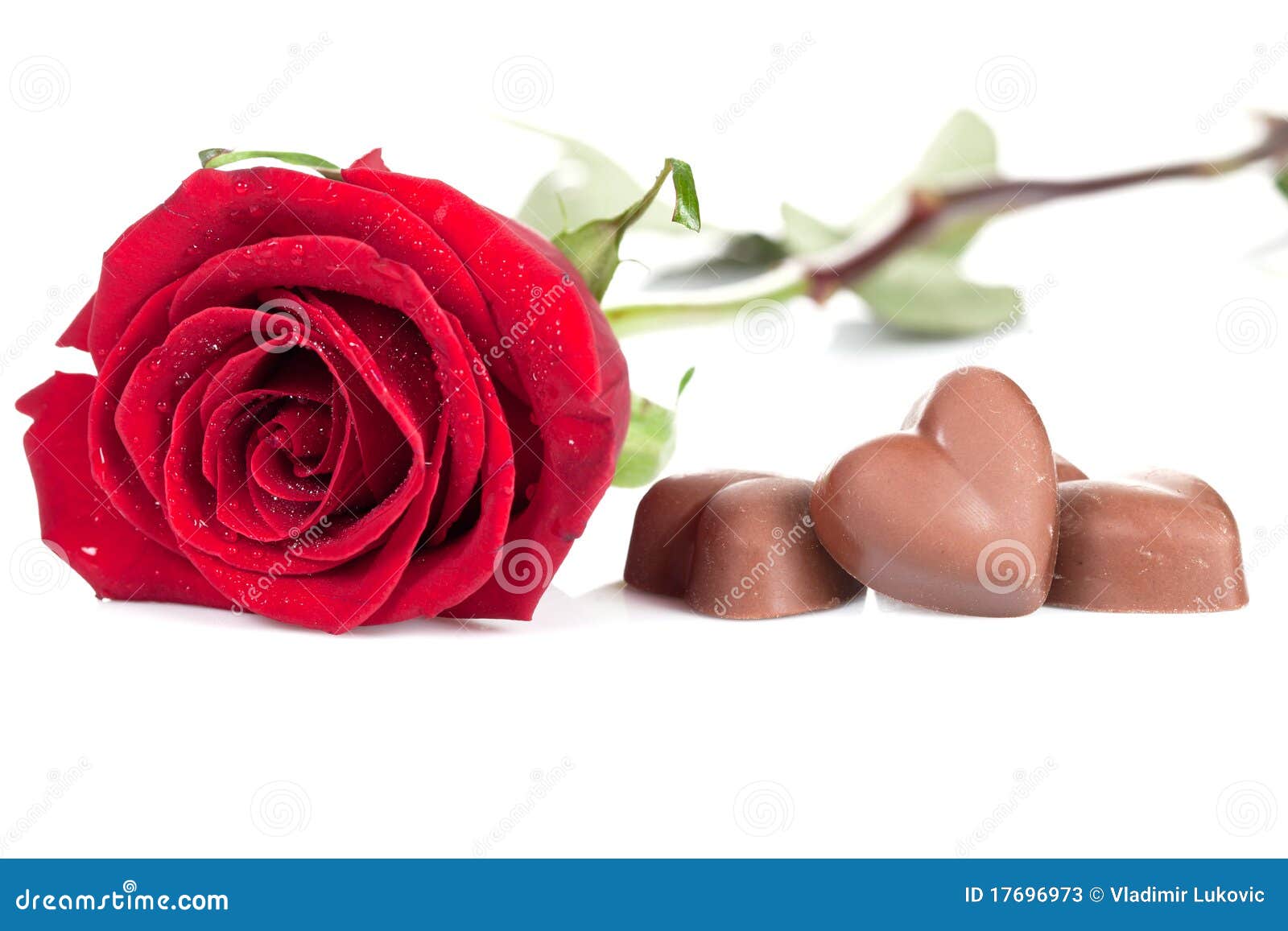 Red rose and chocolate stock image. Image of dessert - 17696973