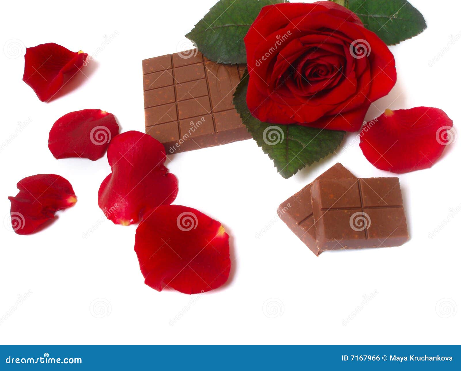 Red rose with chocolate stock photo. Image of gift, chocolate - 7167966