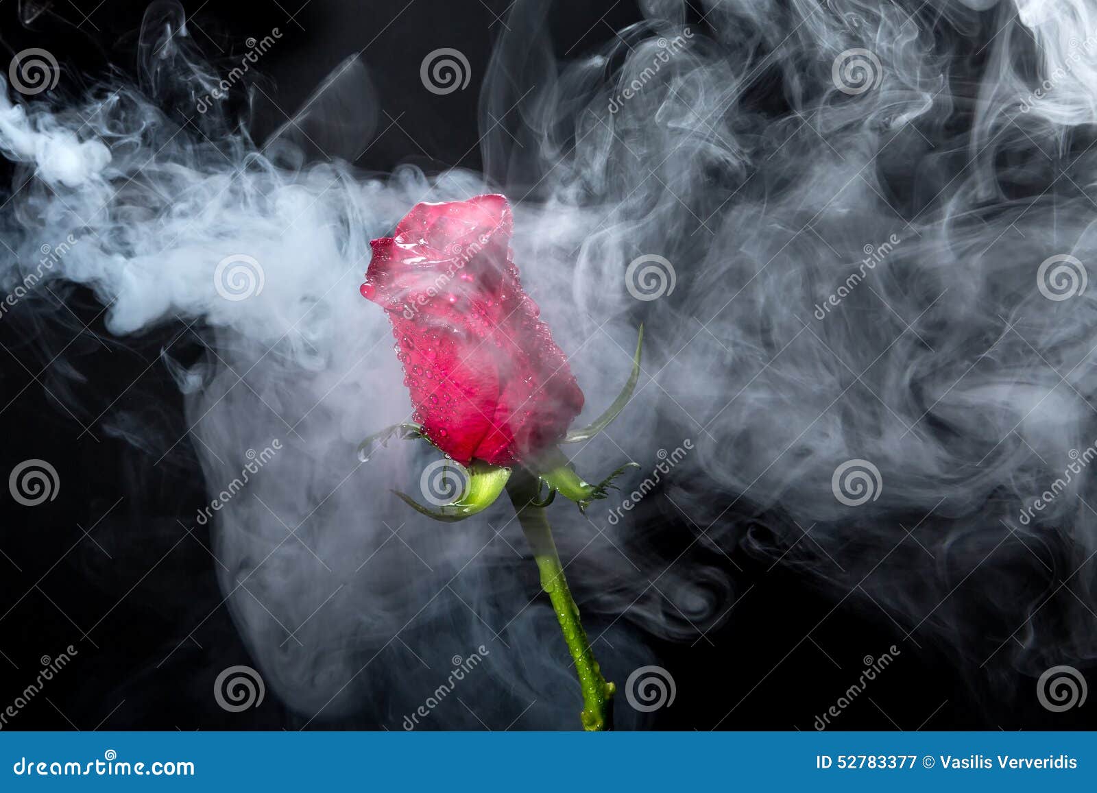 Red Rose in Clouds of Smoke Stock Image - Image of closeup, gift: 52783377