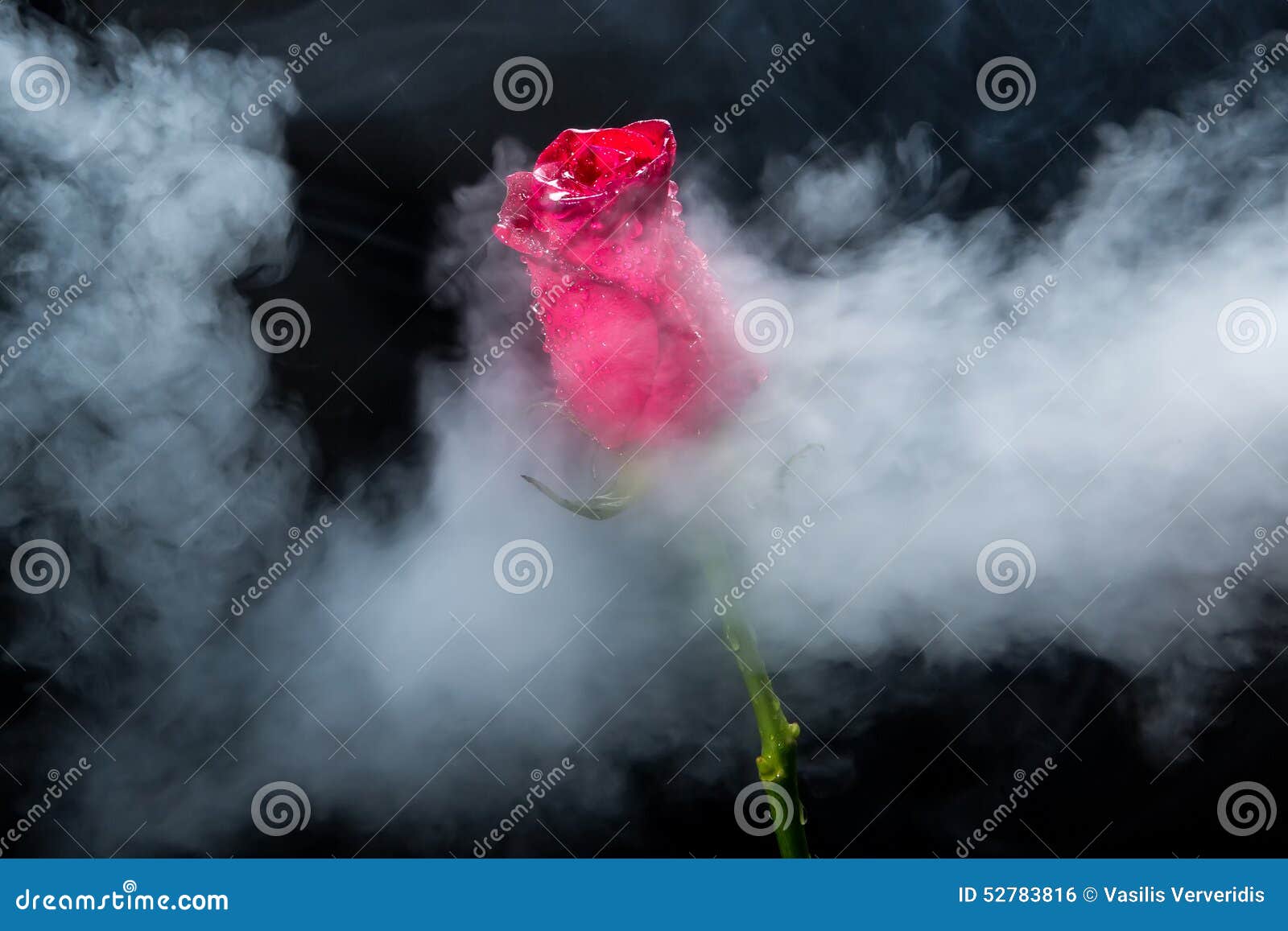 Red Rose in Clouds of Smoke Stock Photo - Image of abstract, color ...