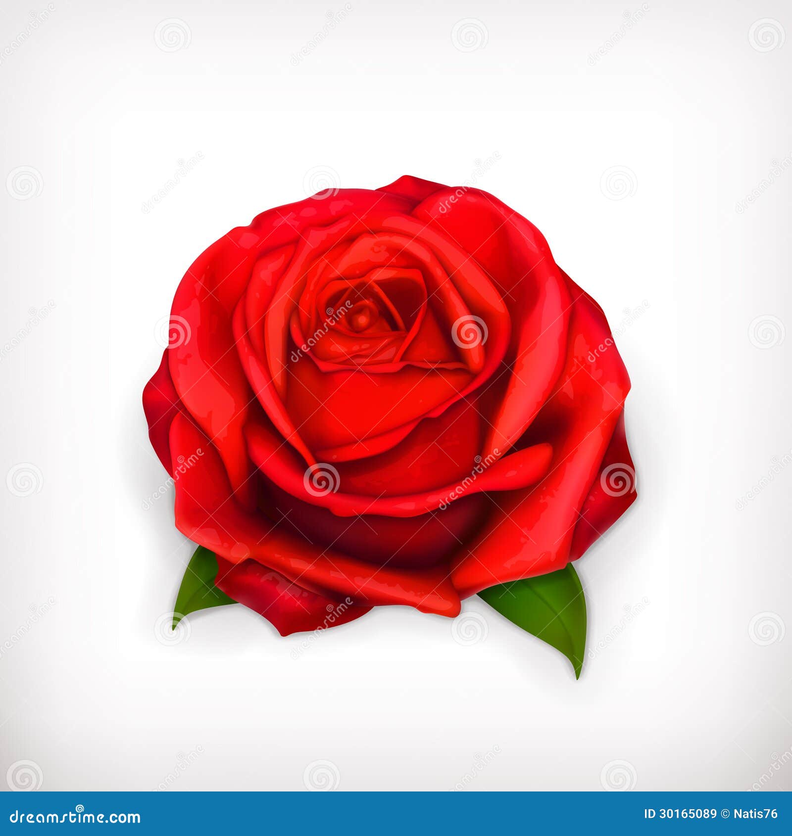 Rose And Computer Drawing Effect. Omputer Drawing Collage. Royalty-Free ...