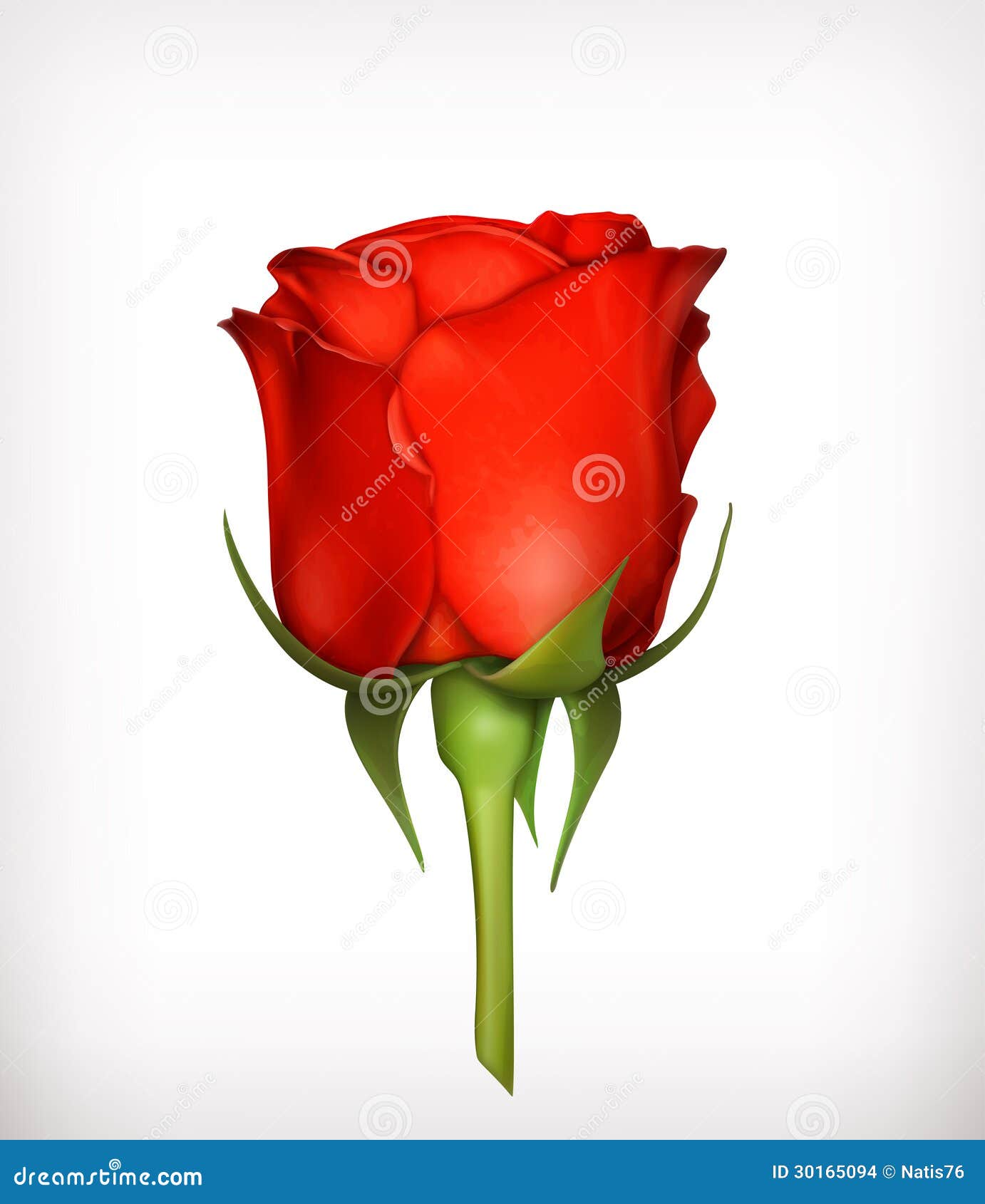 Rose And Computer Drawing Effect. Omputer Drawing Collage. Royalty-Free ...