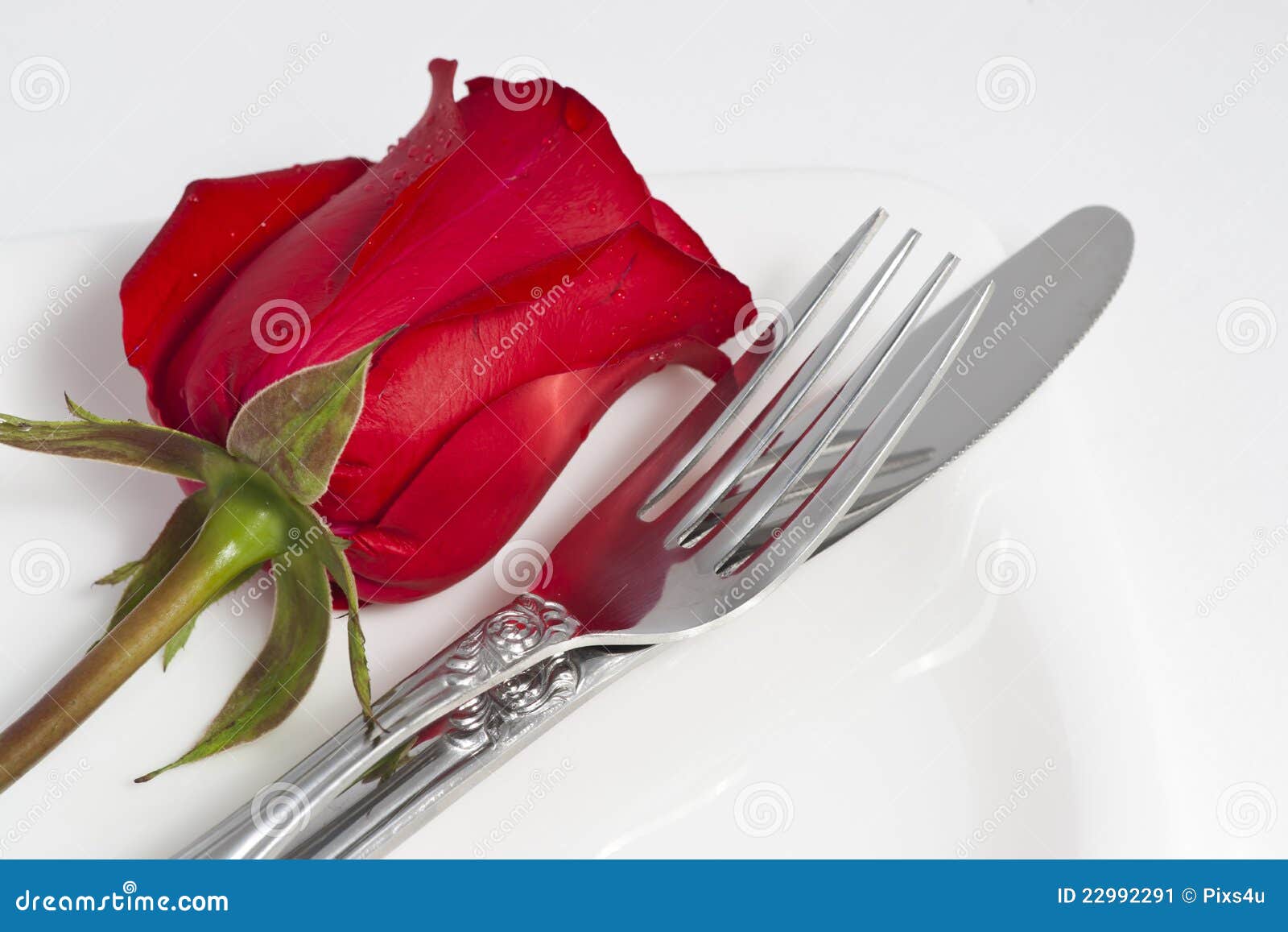 Red Rose and Cutlery on White Plate Stock Image - Image of rose, dinner ...