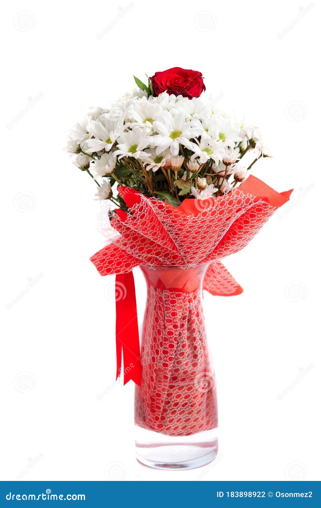 Red Rose and Daisy Flowers in Vase Isolated White Stock Photo - Image ...
