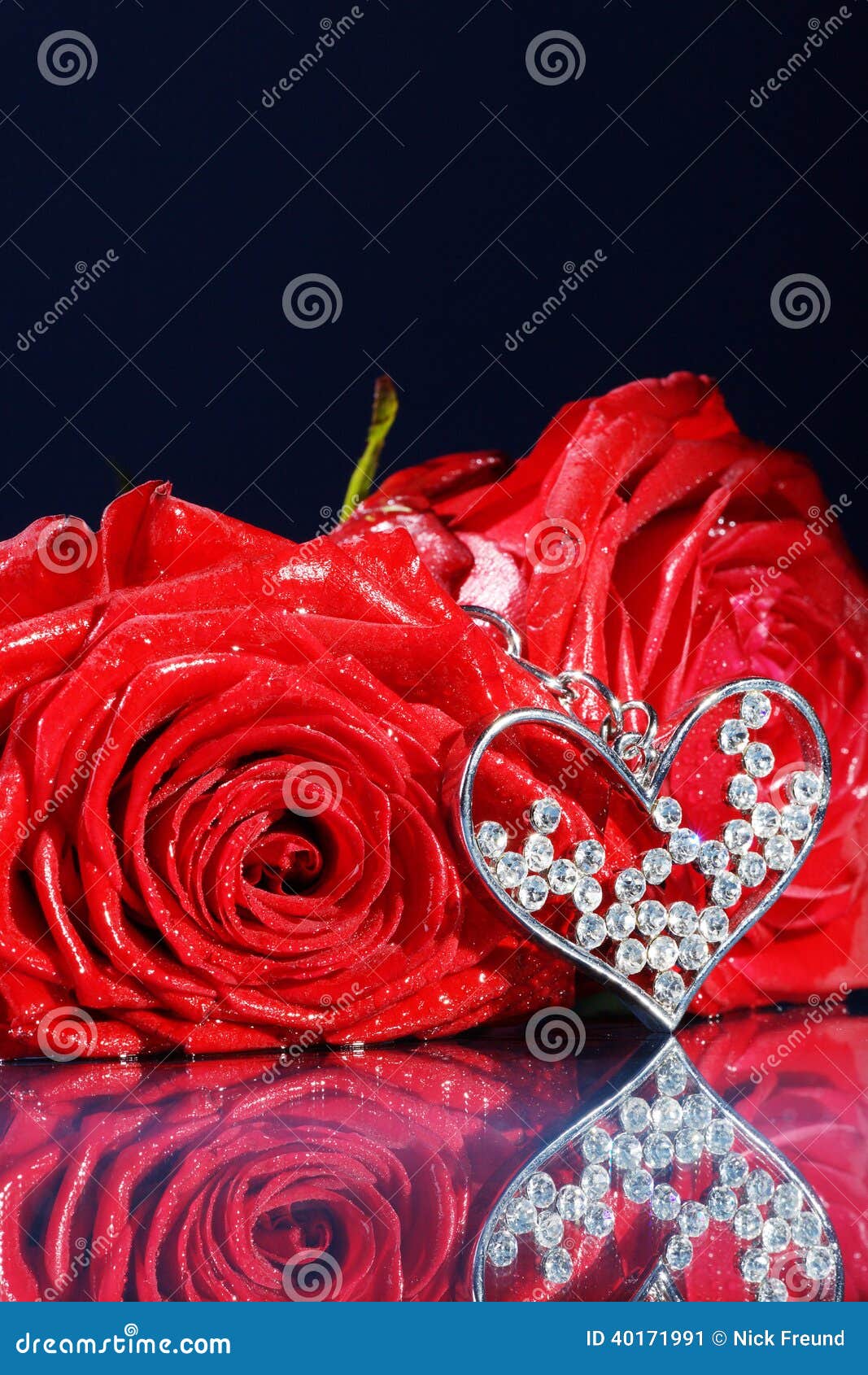 Red Rose Decorated with Jewelry Stock Image - Image of margerite ...