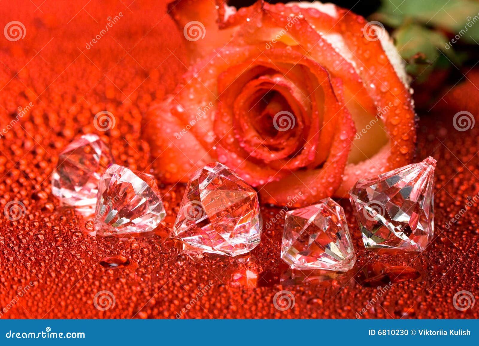 Red Rose and Diamond Crystals Stock Photo - Image of crystal, aromatic ...