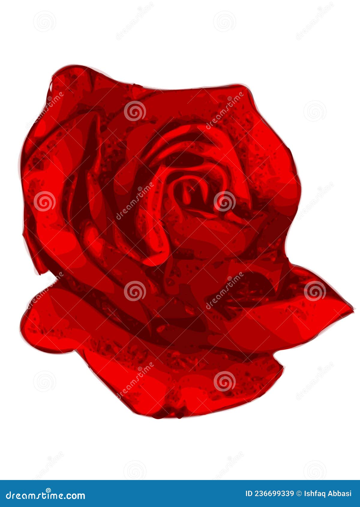 Red Rose Drawing in White Background Stock Illustration - Illustration ...