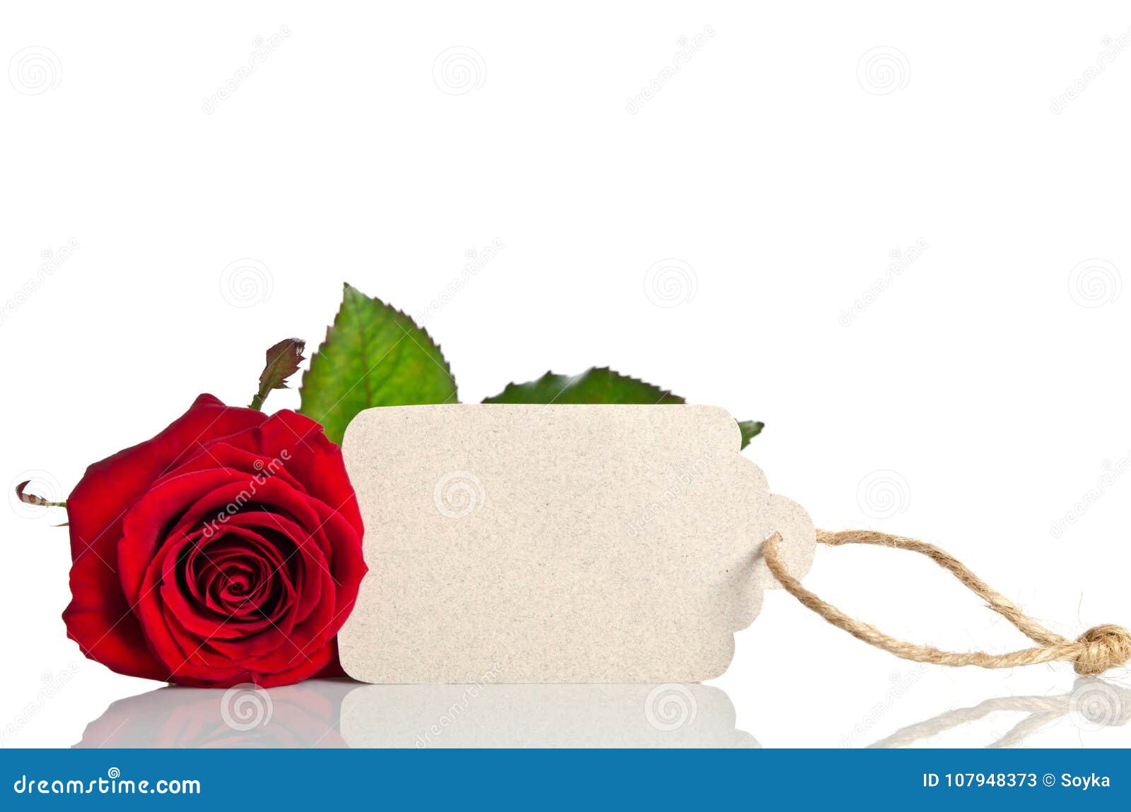 Red Rose with Empty Tag for Text Stock Image - Image of insert, blank ...
