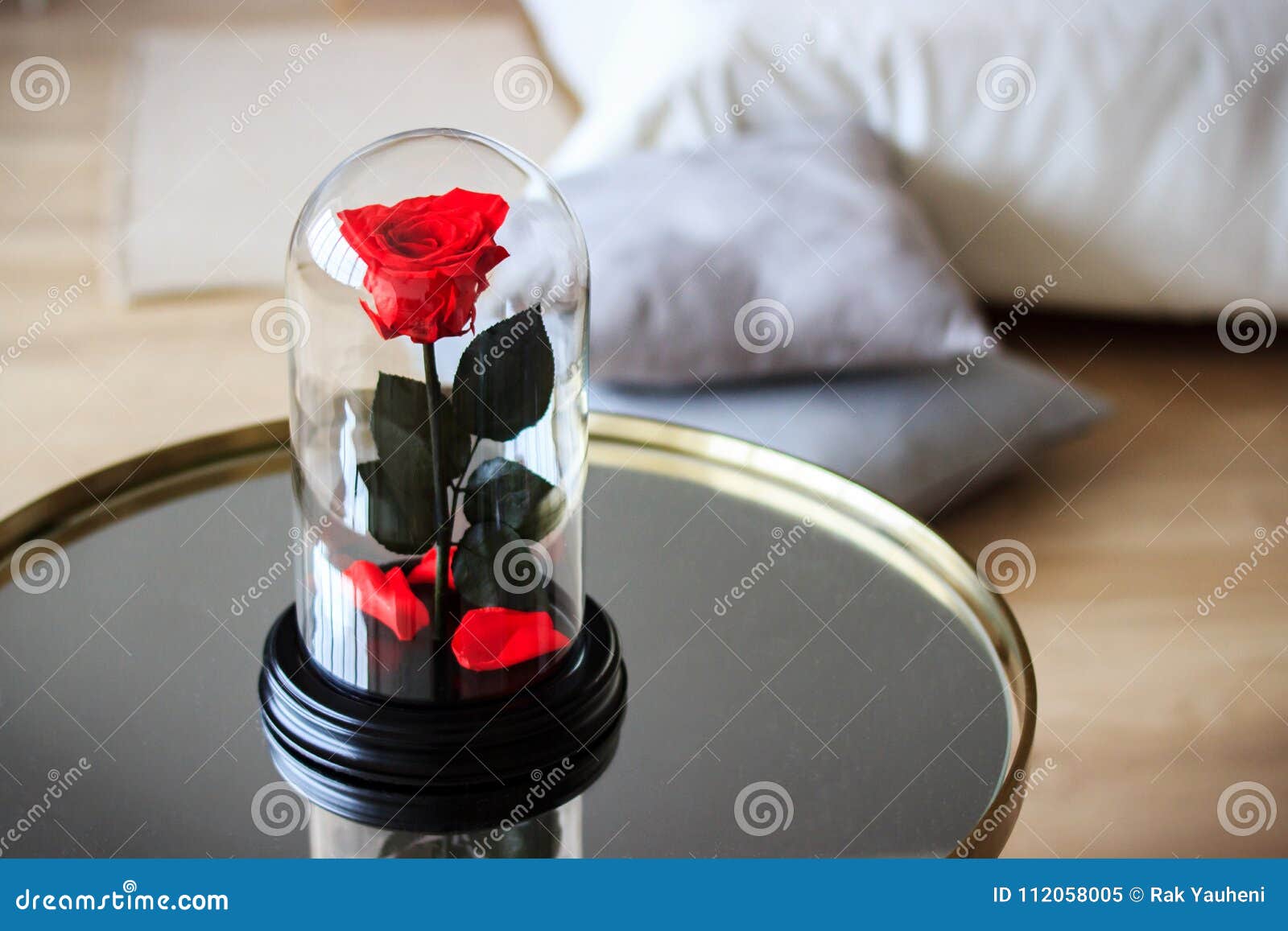 Red Rose in a Flask. Long-lasting Rose Stock Image - Image of leaf ...