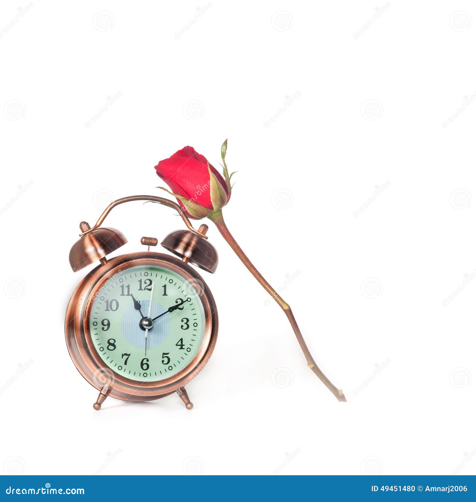 Red Rose Flower and Alarm Clock Stock Photo - Image of lovely, concept ...