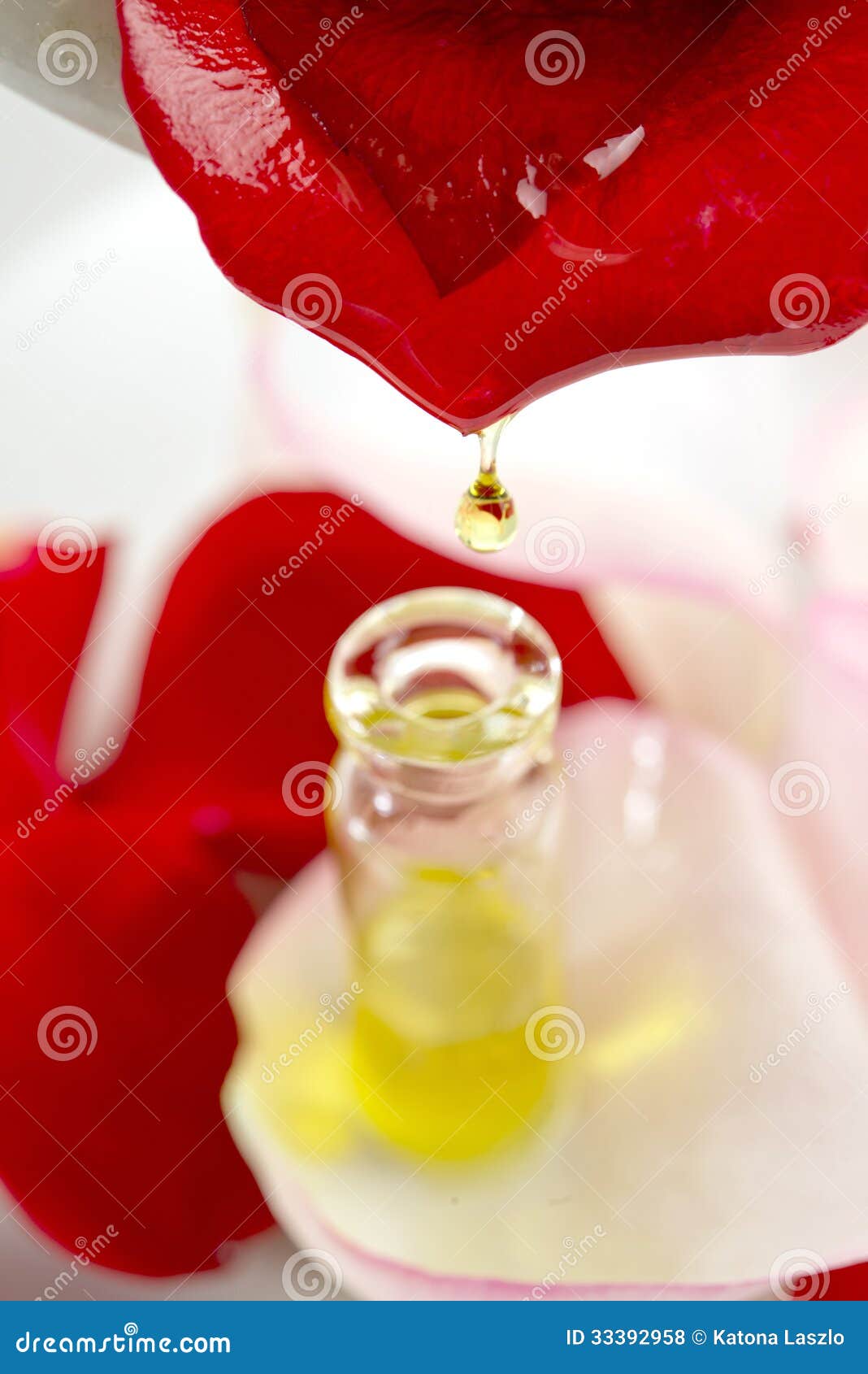 Red Rose Flower with Rose Oil Stock Photo - Image of leaves, eastern ...