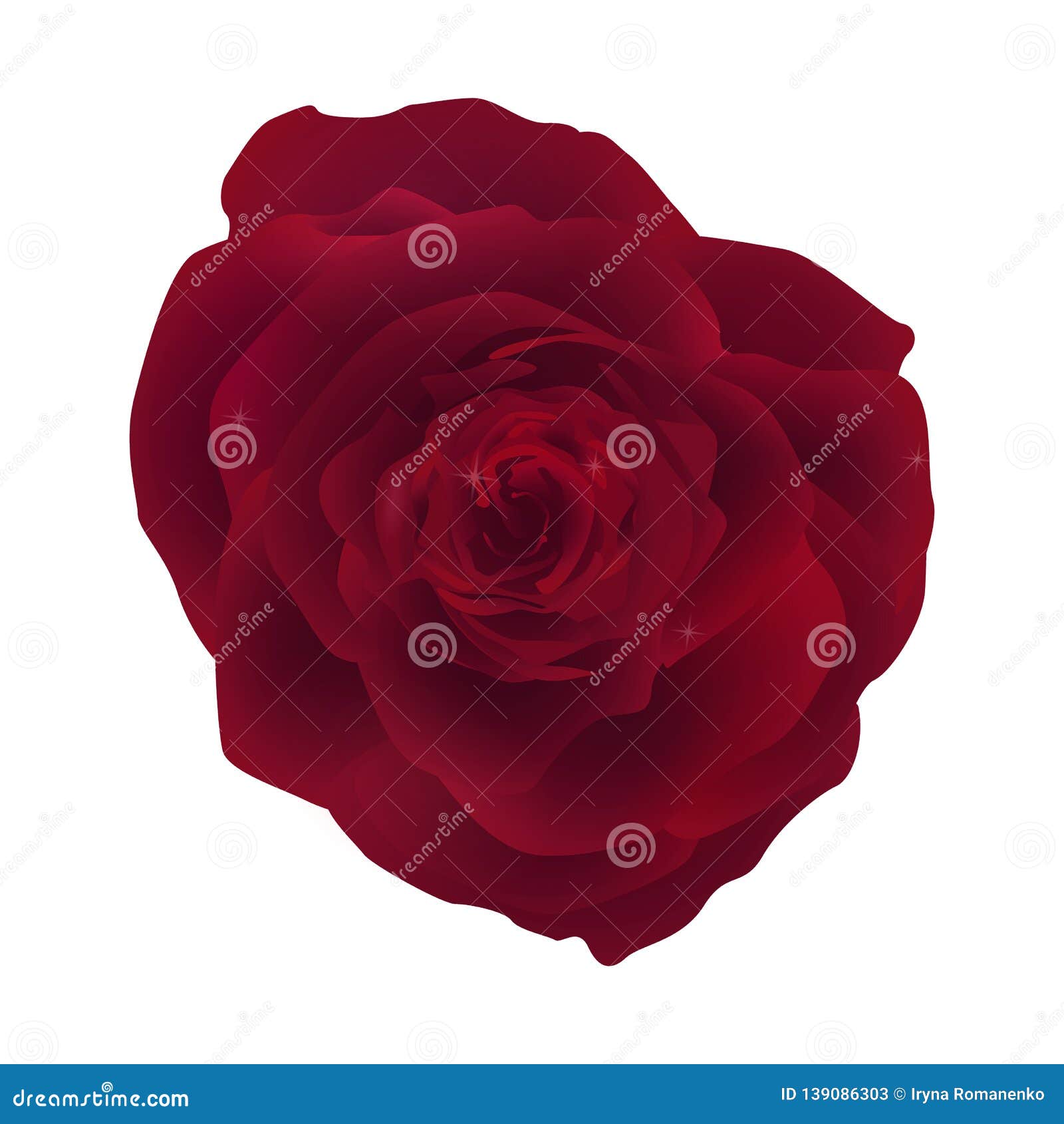 Red Rose Flower View from Above. Stock Vector - Illustration of plant ...